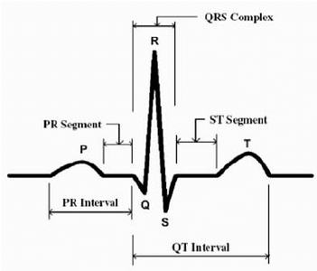 Functional ECG Circuit Design Project : 8 Steps - Instructables
