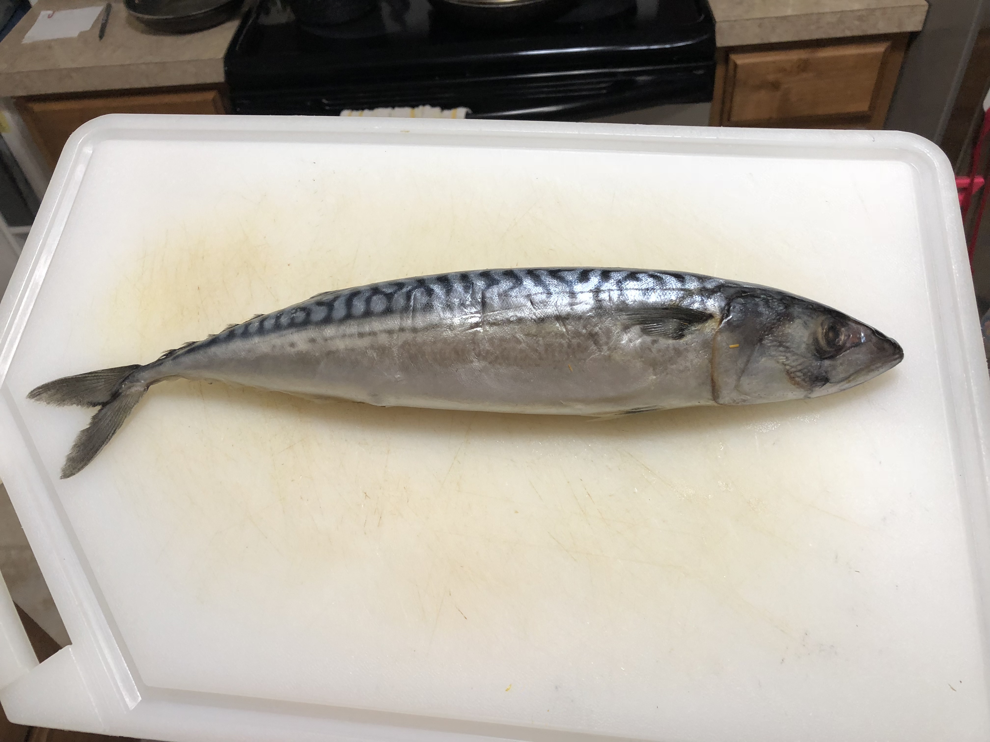 How to Clean a Fish : 22 Steps (with Pictures) - Instructables