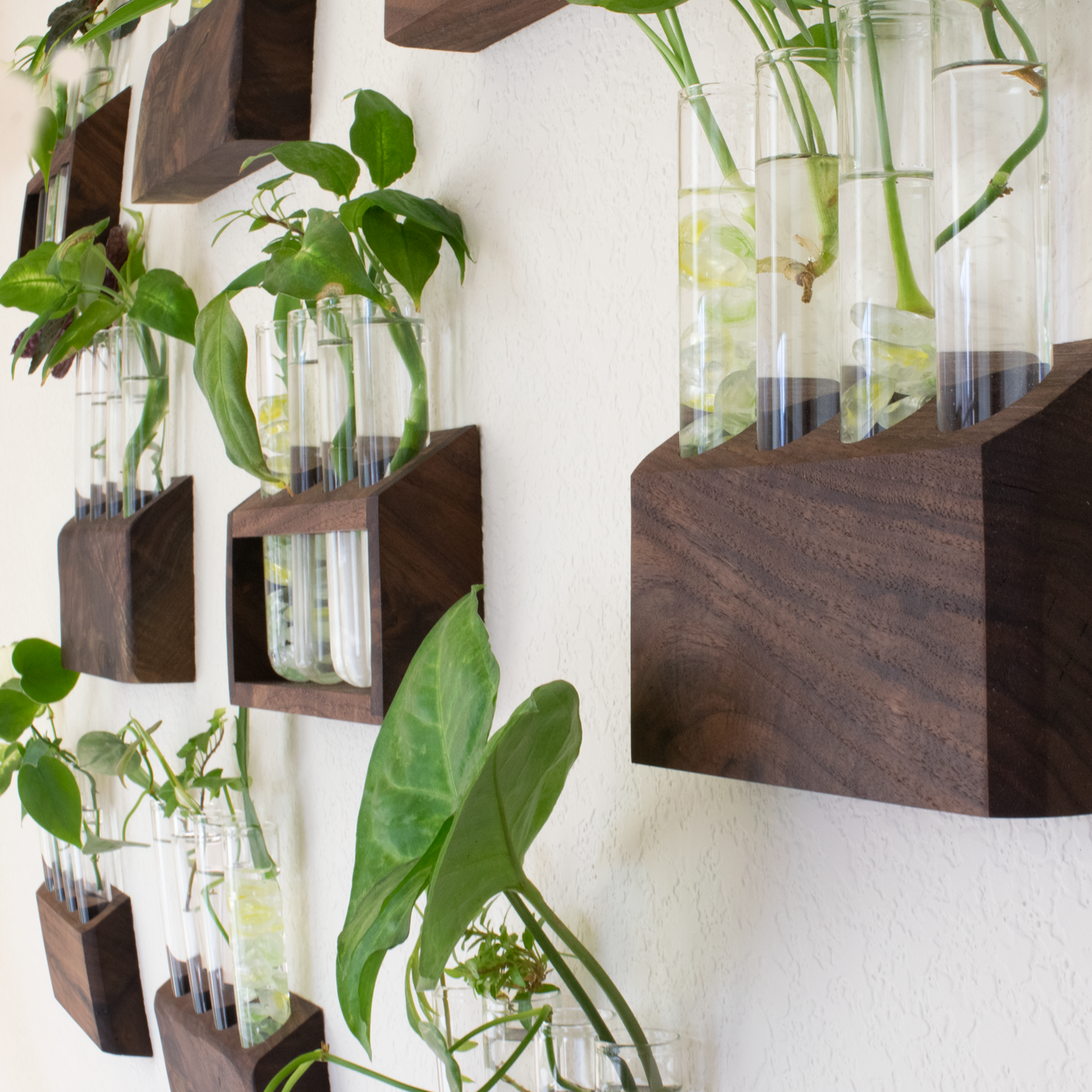 Propagation Station (3 Designs) : 10 Steps (with Pictures) - Instructables