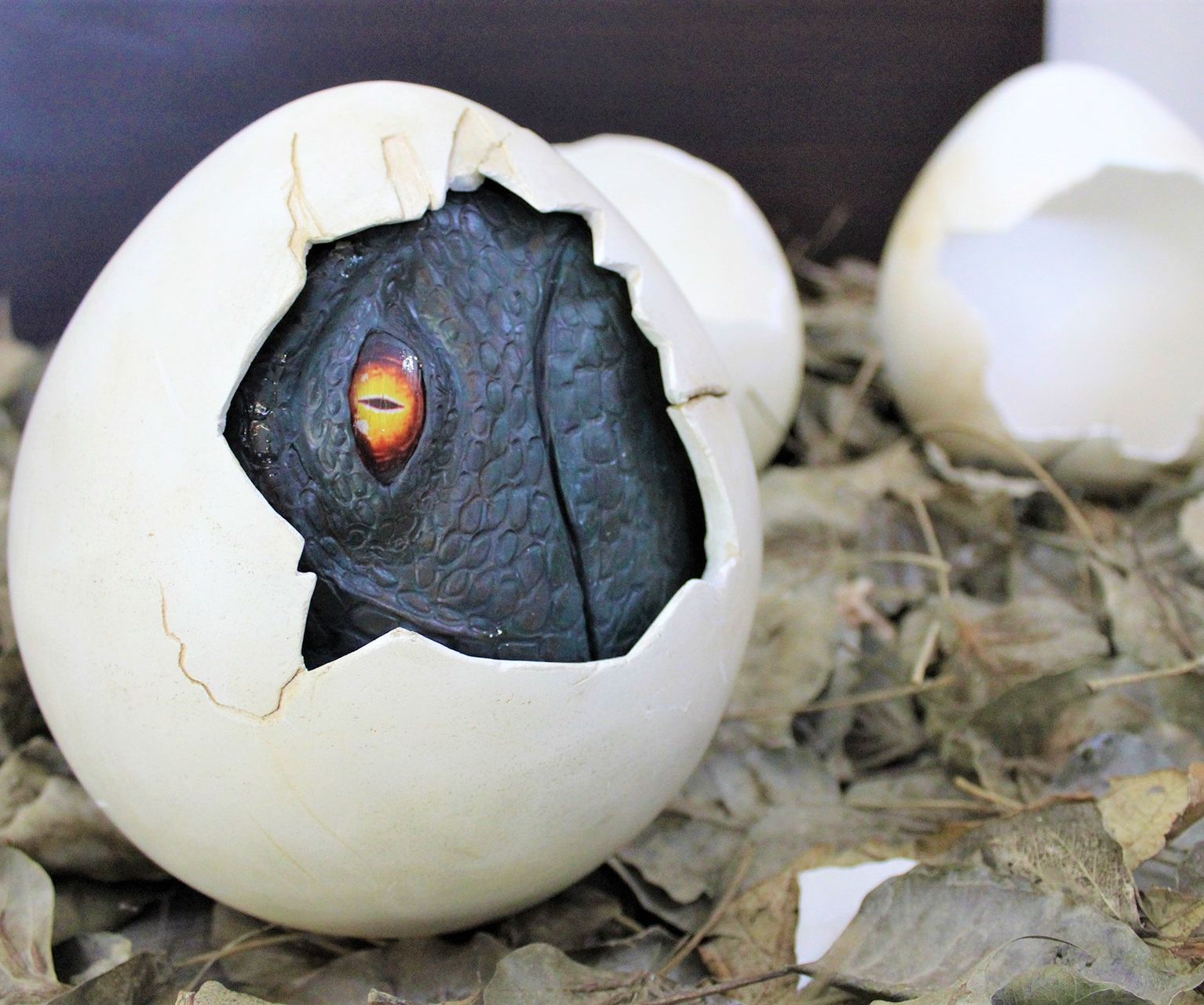 Cracked Dragon Egg Drawing