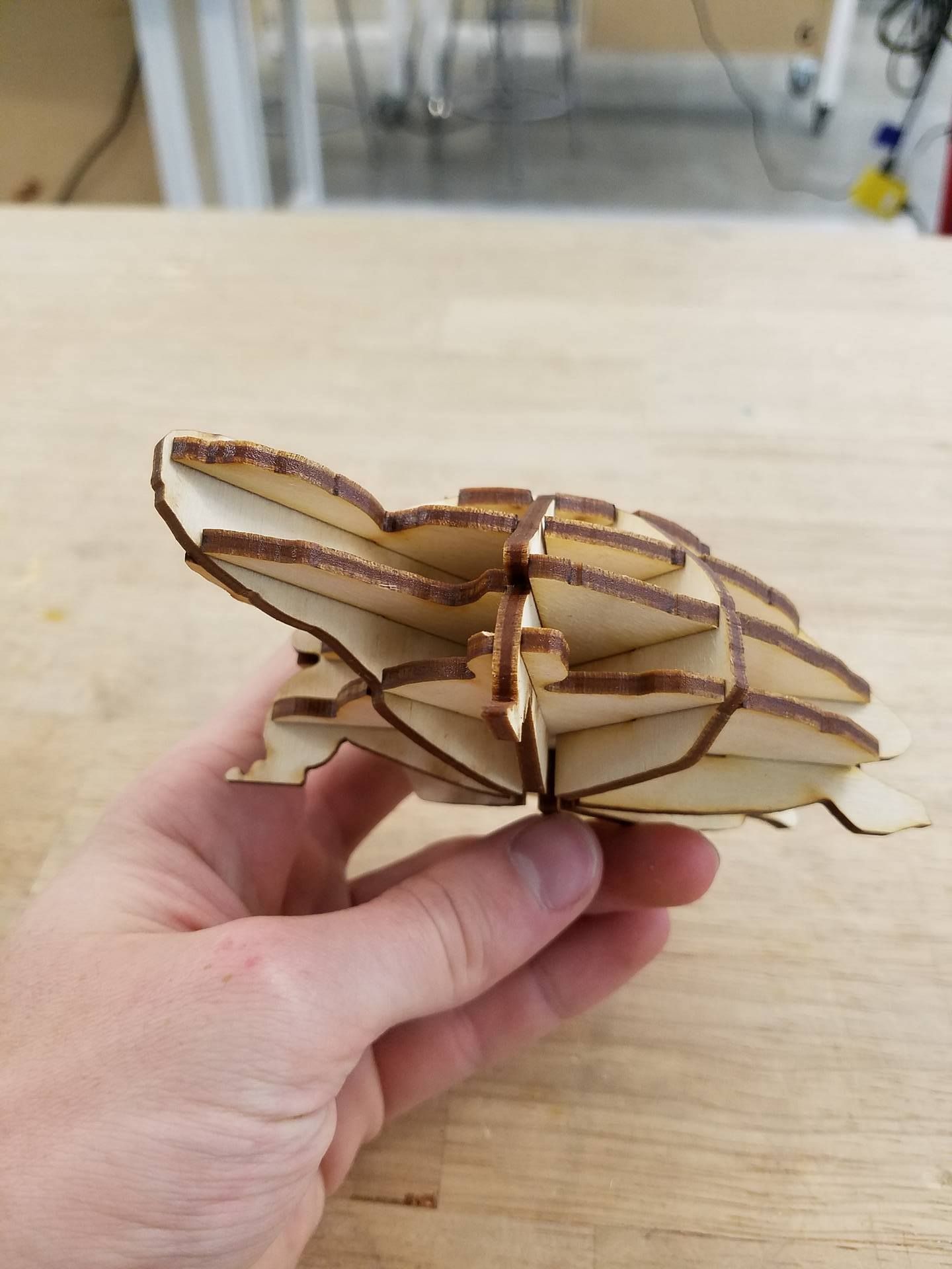 Laser Cut Turtle : 3 Steps (with Pictures) - Instructables