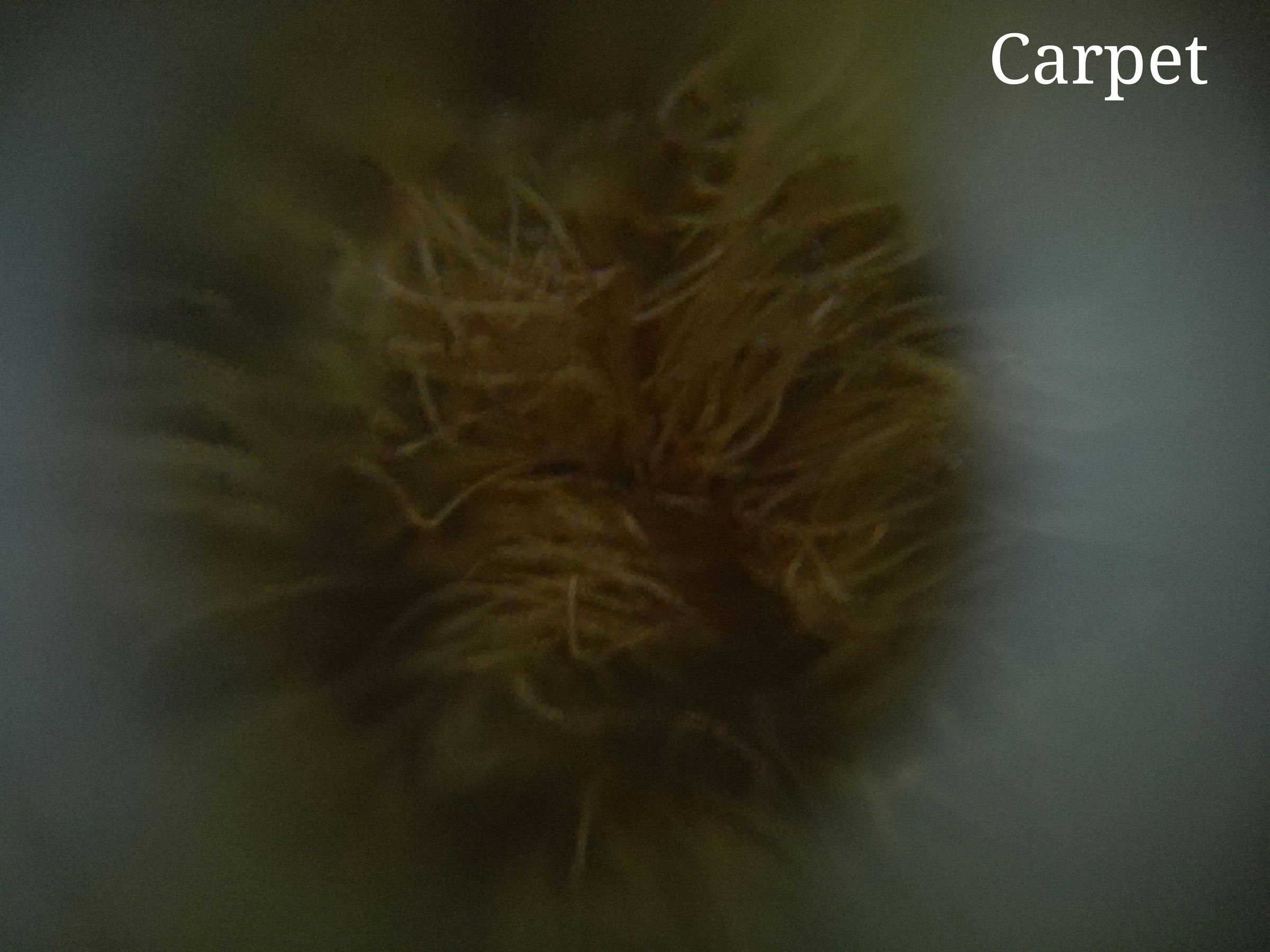 Ultimate Phone Camera Hack.... Increase Zoom by Almost 10x : 4 Steps ...