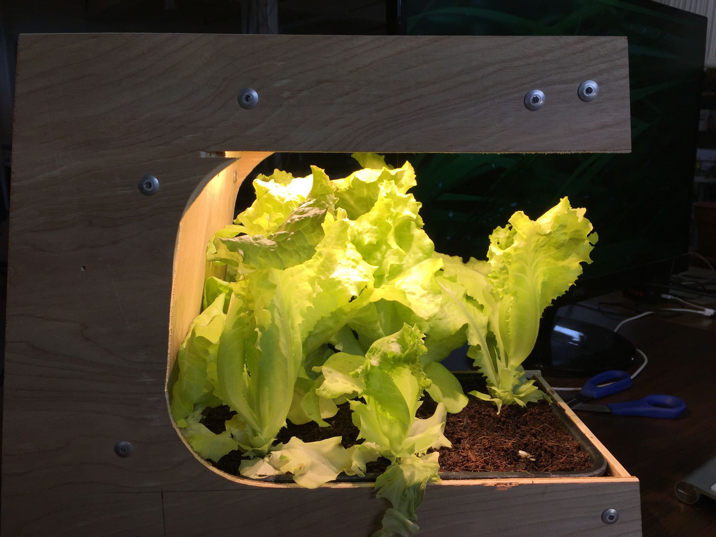 Desktop Gardening, Plantbot Alpha : 5 Steps - Instructables