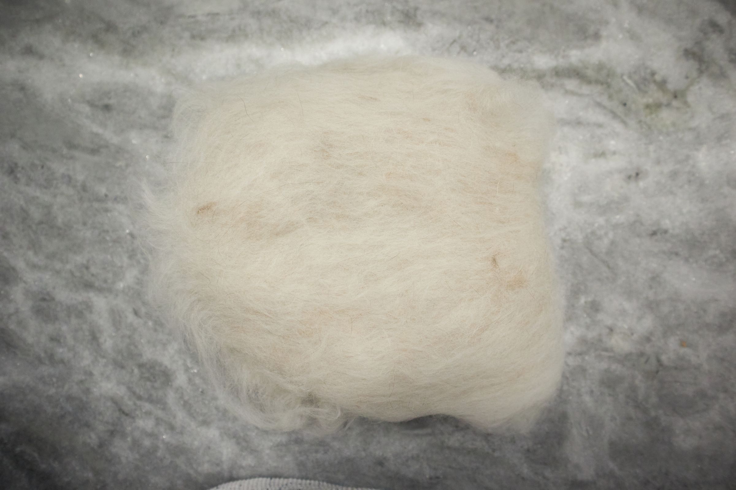 Cat to a Hat : 4 Steps (with Pictures) - Instructables