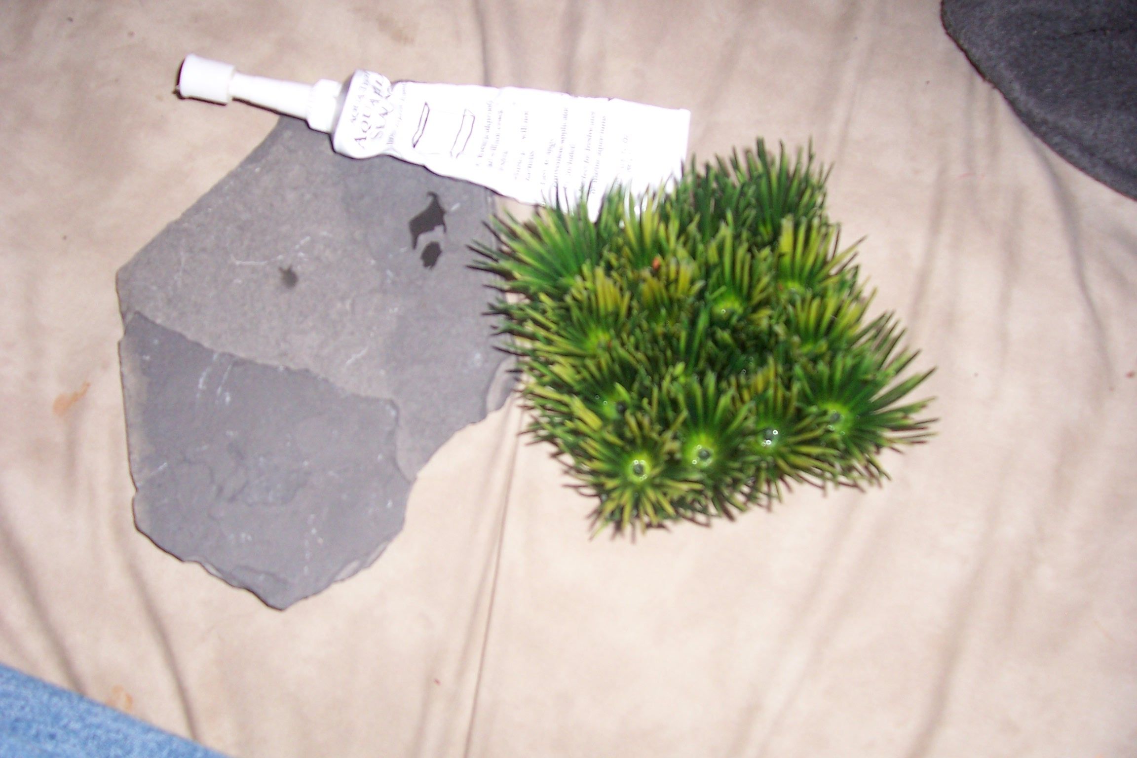 Realistic Breeding Grass : 5 Steps - Instructables