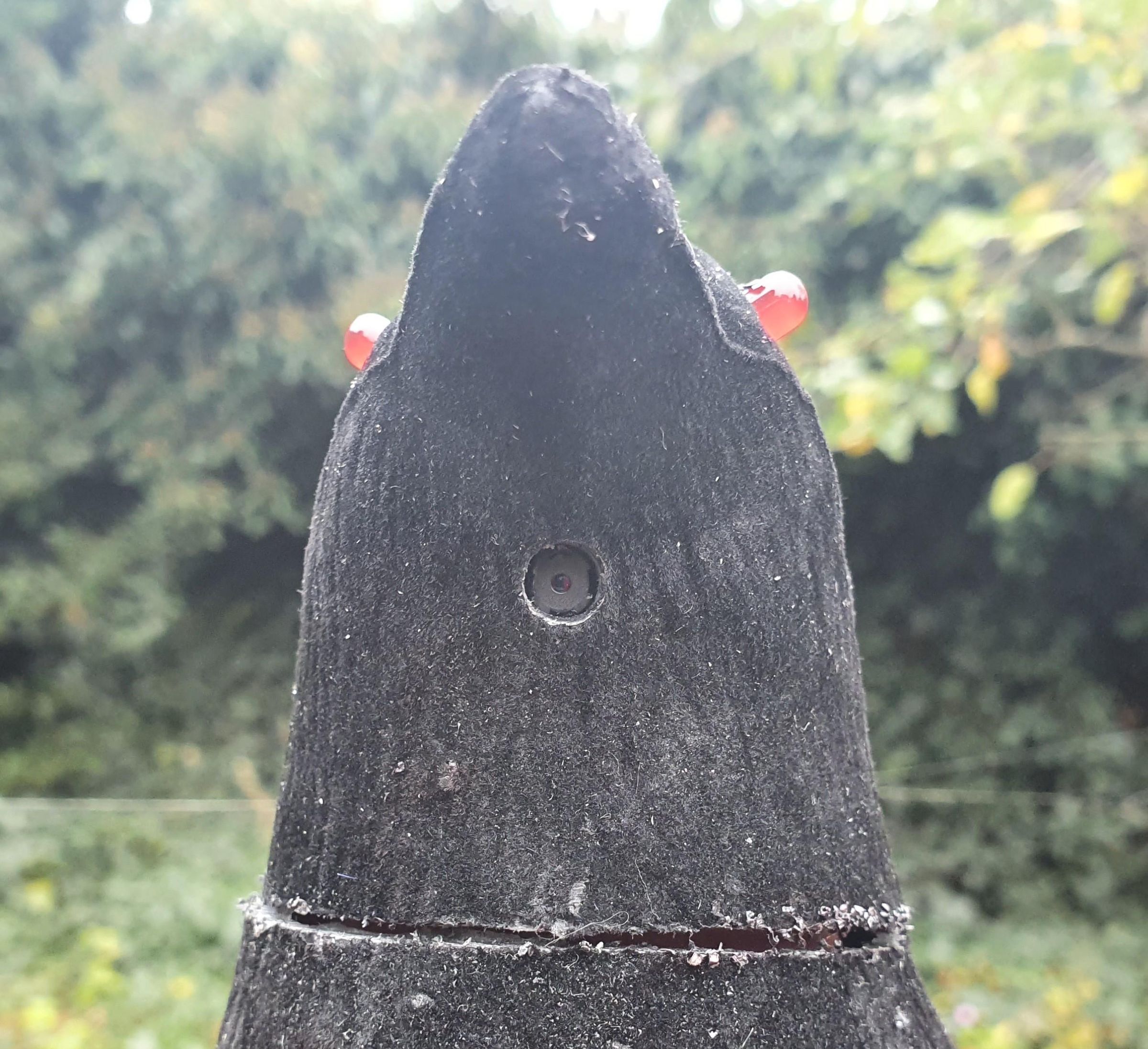 Raven Pi Security Camera : 7 Steps (with Pictures) - Instructables