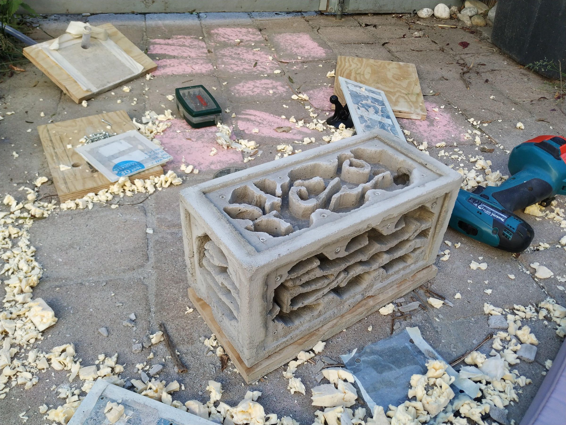 Concrete Ants Nest : 4 Steps (with Pictures) - Instructables