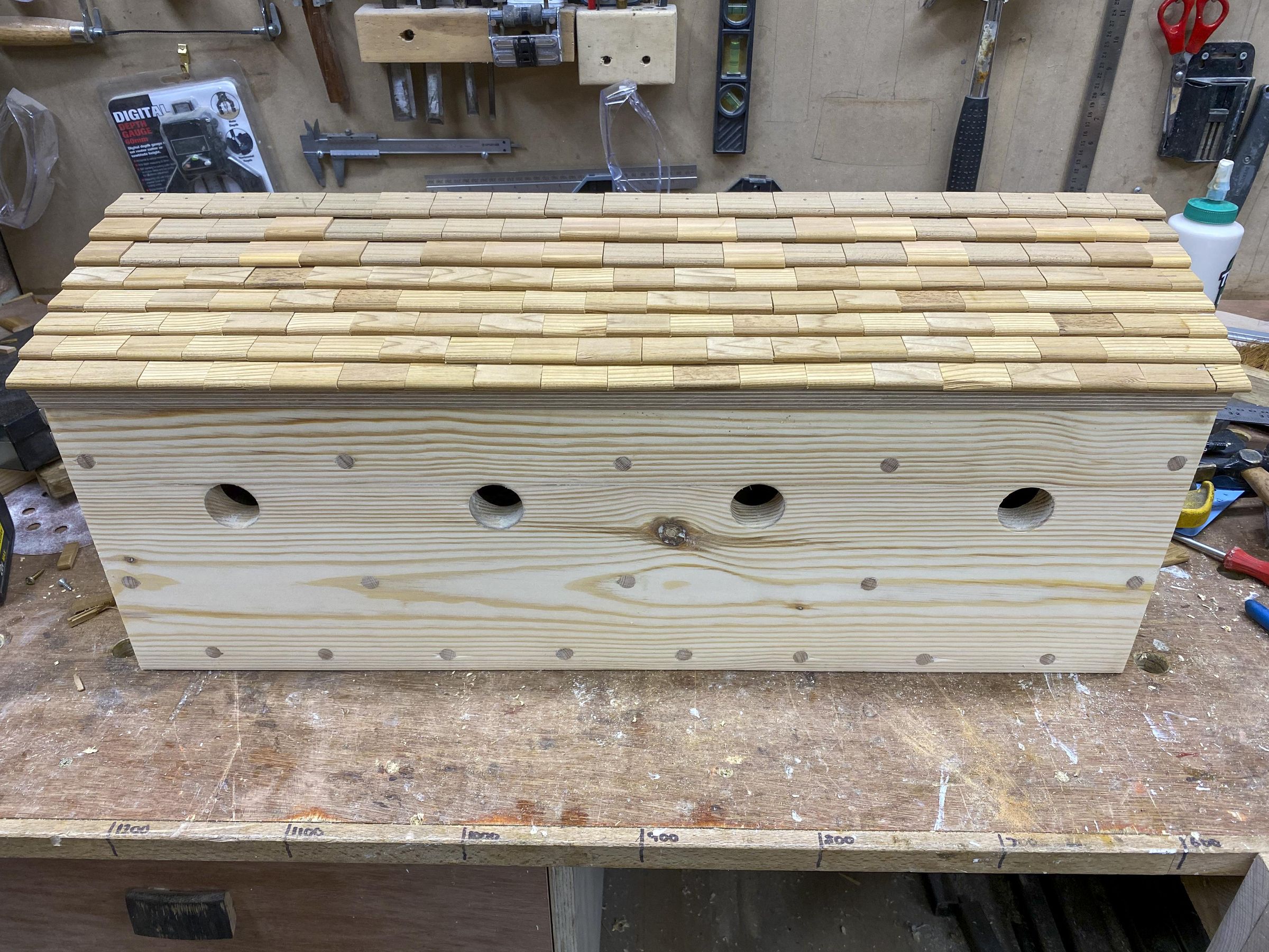 🐦 House Sparrow 🐦 Bird Box Terrace 🐦 : 11 Steps (with Pictures ...