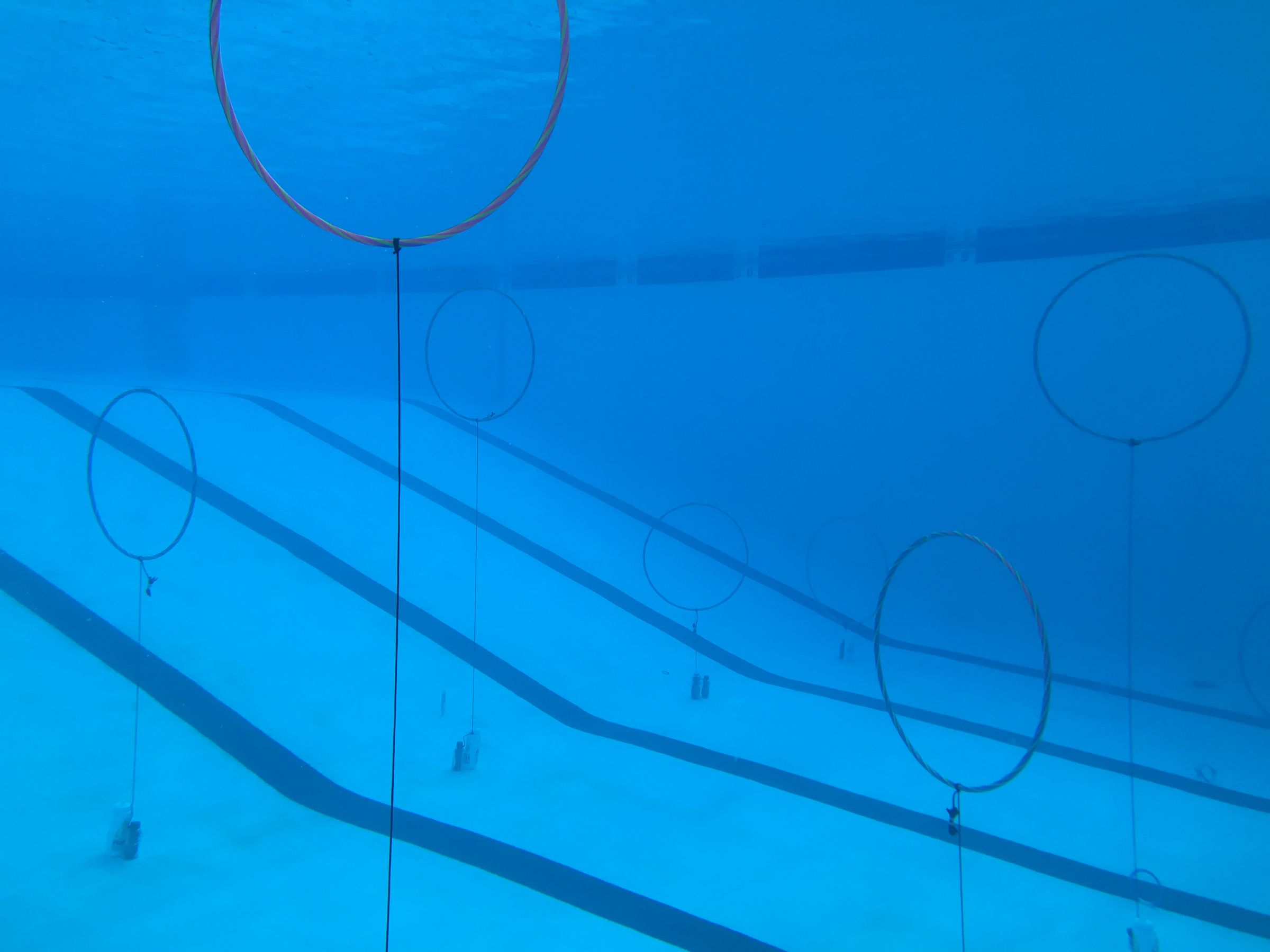 Underwater Diving Rings : 9 Steps (with Pictures) - Instructables