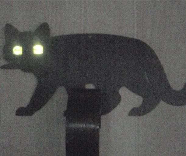 Child's Play Scare Cat - Instructables