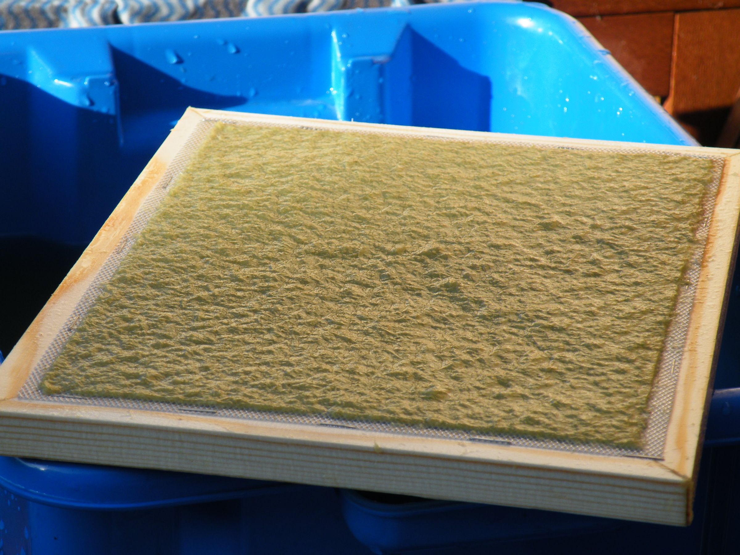 How to Make Paper : 15 Steps (with Pictures) - Instructables