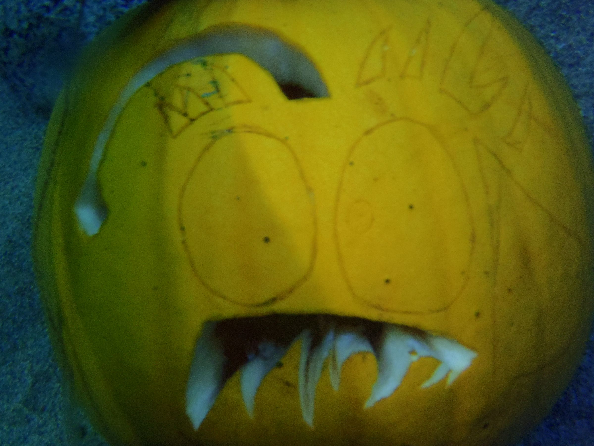 Underwater Pumpkin Carving How To : 8 Steps (with Pictures) - Instructables