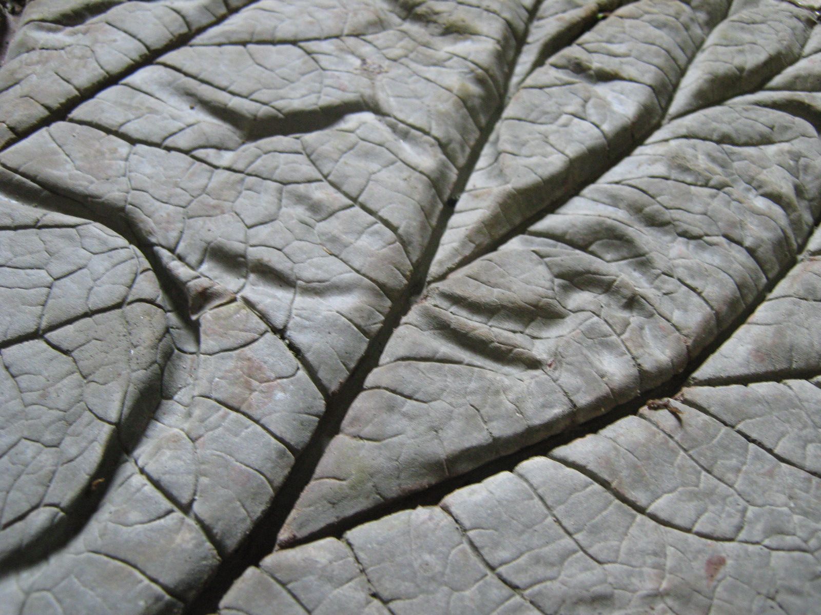 Ornamental Paving Slabs : 5 Steps - Instructables