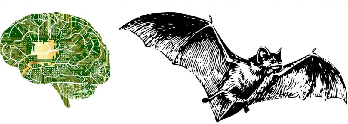 Artificial Intelligence to Localize Thanks to Echos As Bats : 14 Steps ...