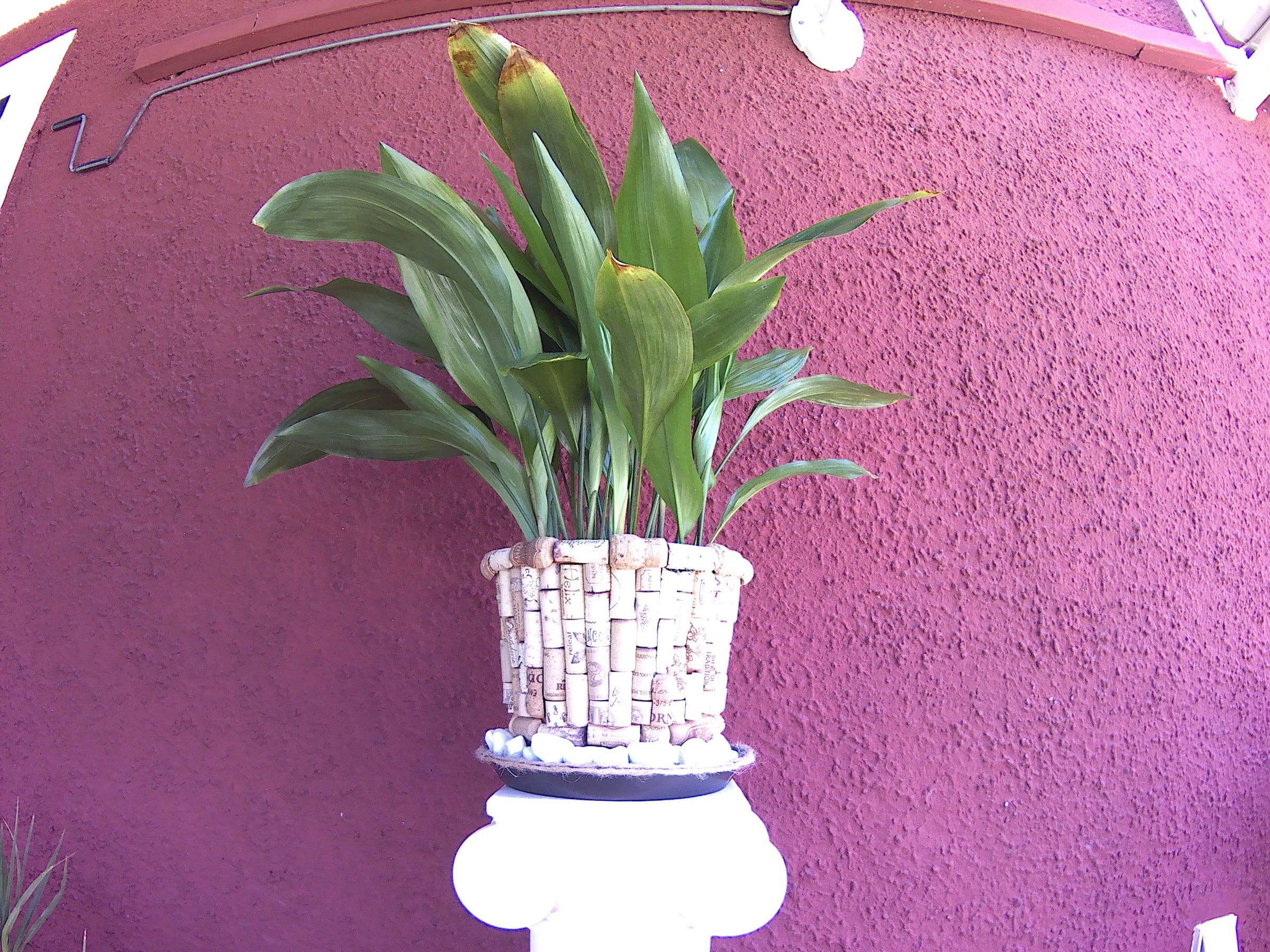 Rustic Cork Planter : 10 Steps - Instructables