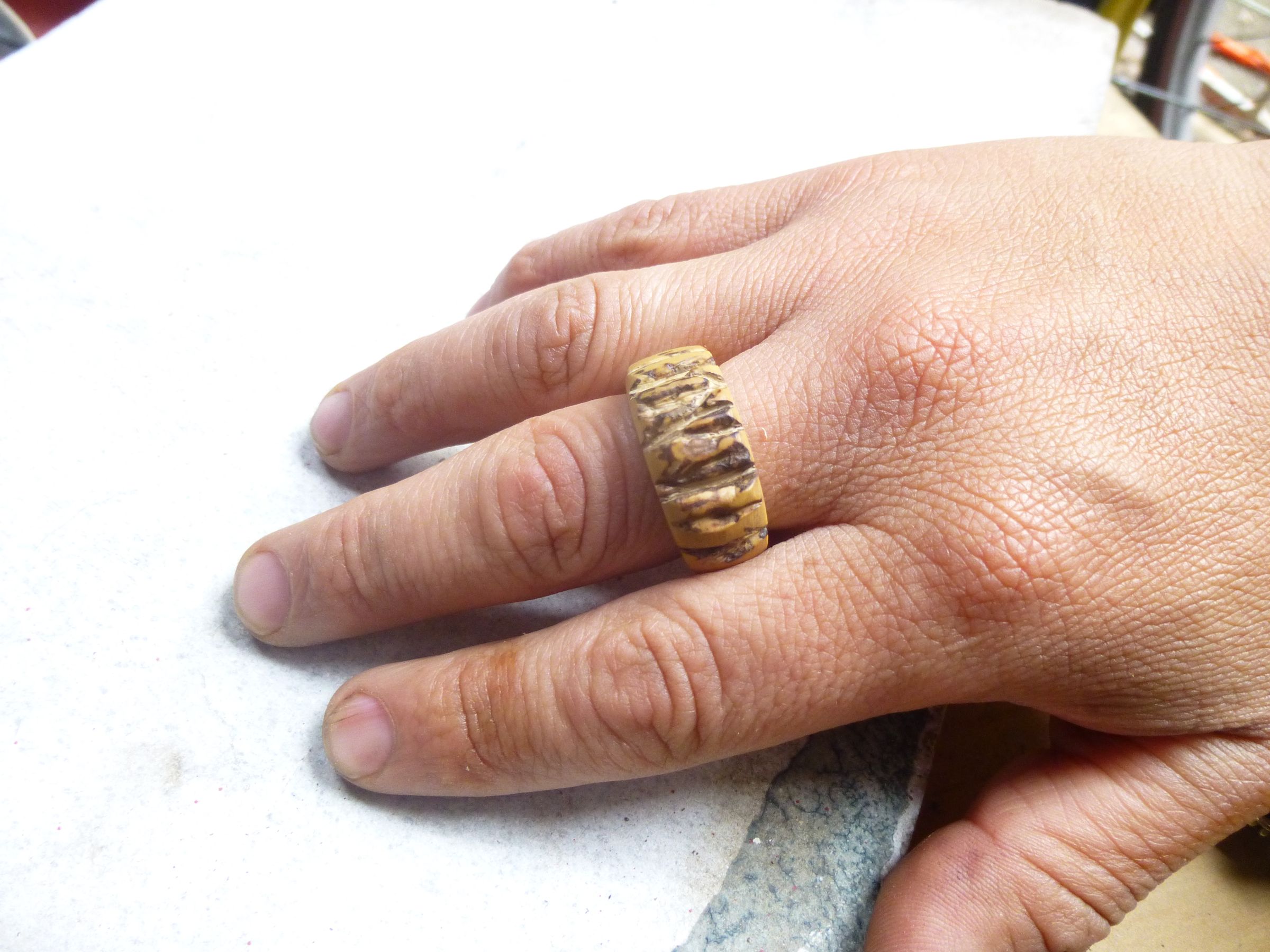 Black Walnut Seed Ring. : 4 Steps (with Pictures) - Instructables