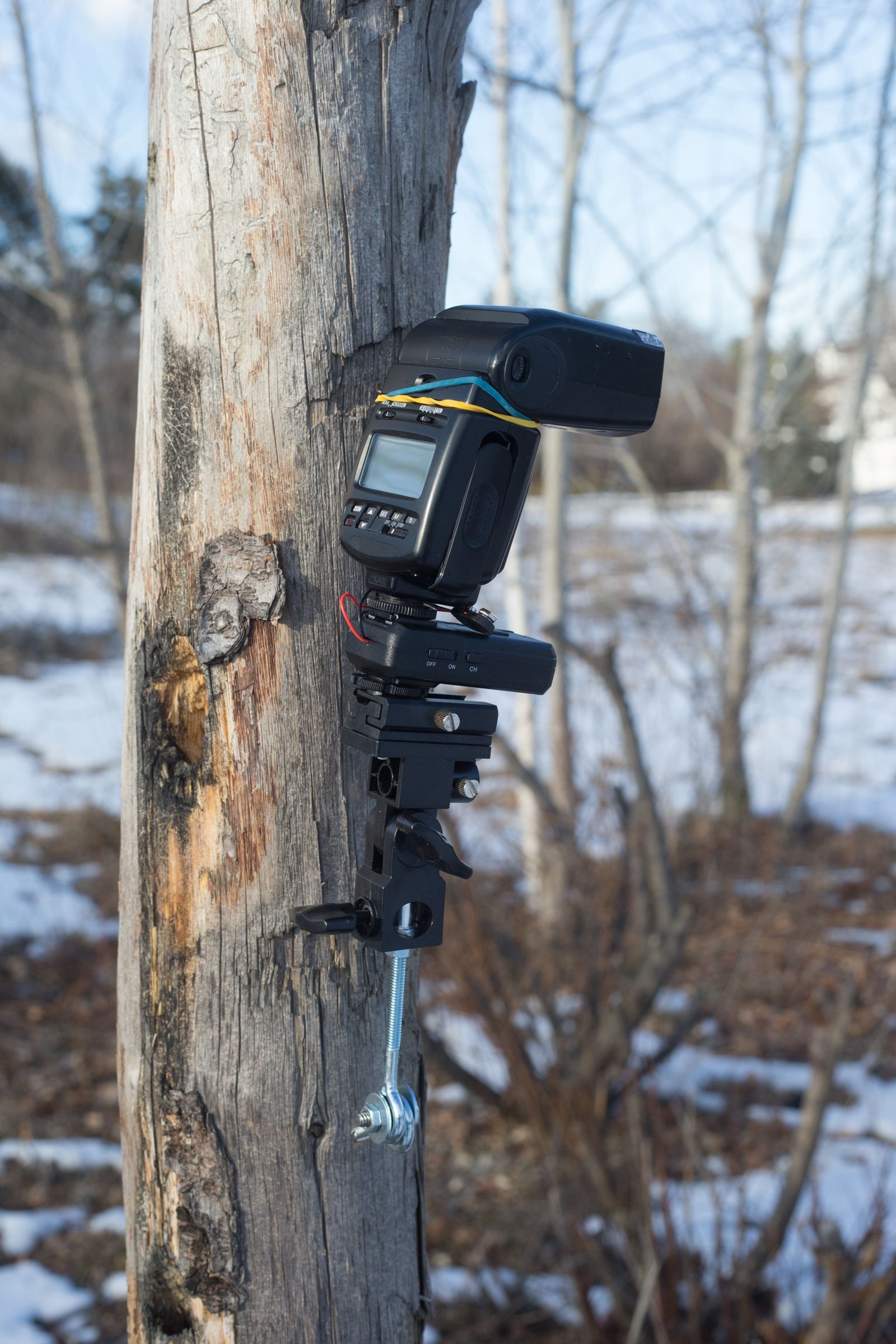 Basic Tree Mounted Flash Stand : 6 Steps - Instructables