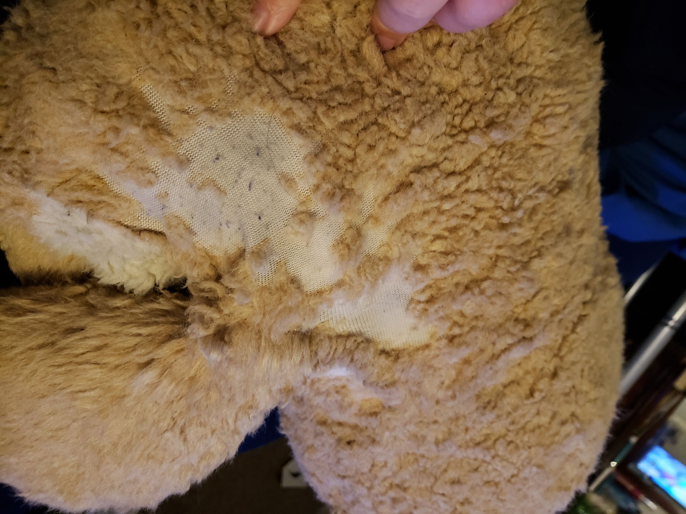Teddy Bear Restoration : 8 Steps (with Pictures) - Instructables
