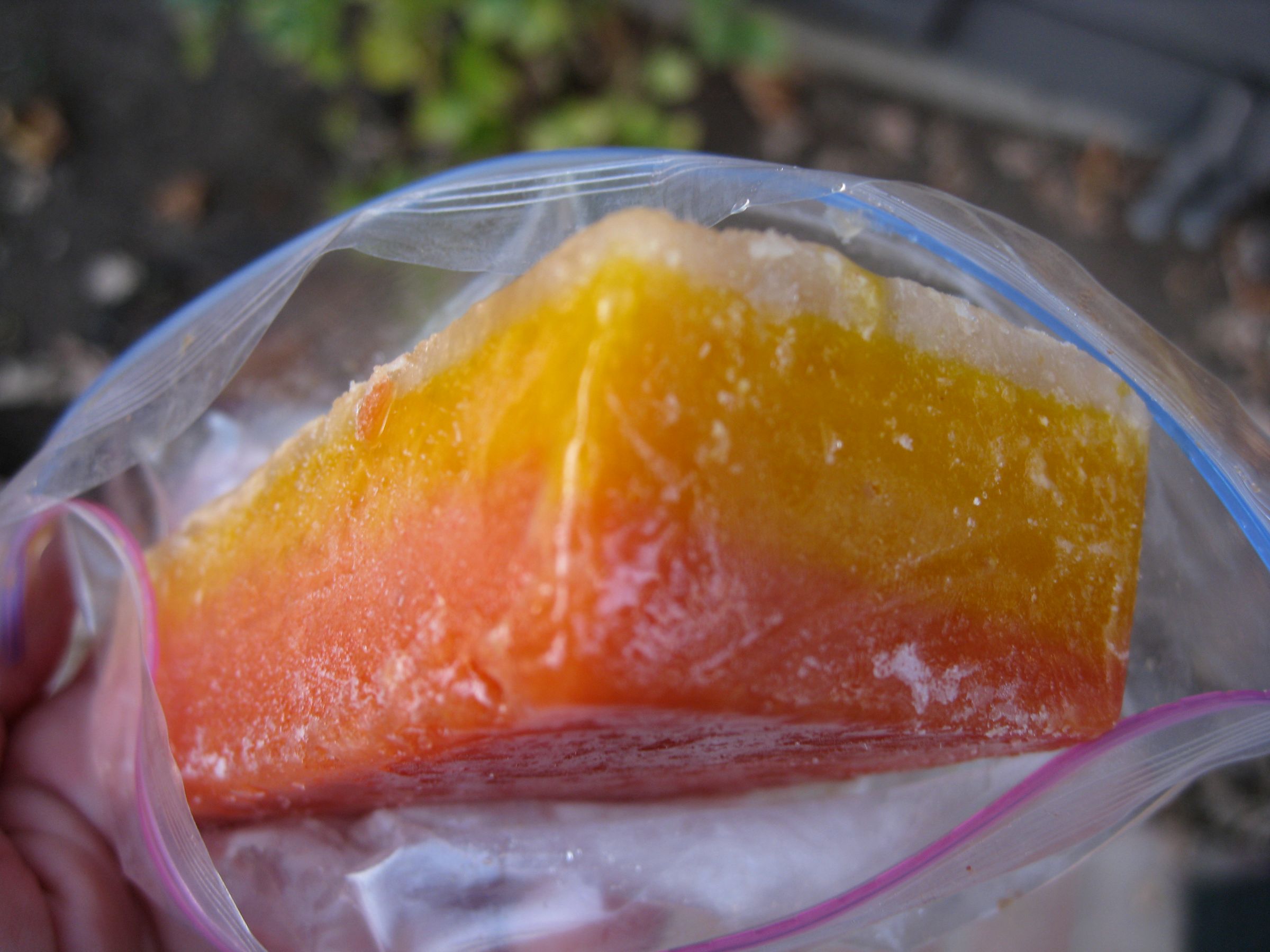 Delicious Tropical Sorbet Bars : 8 Steps (with Pictures) - Instructables