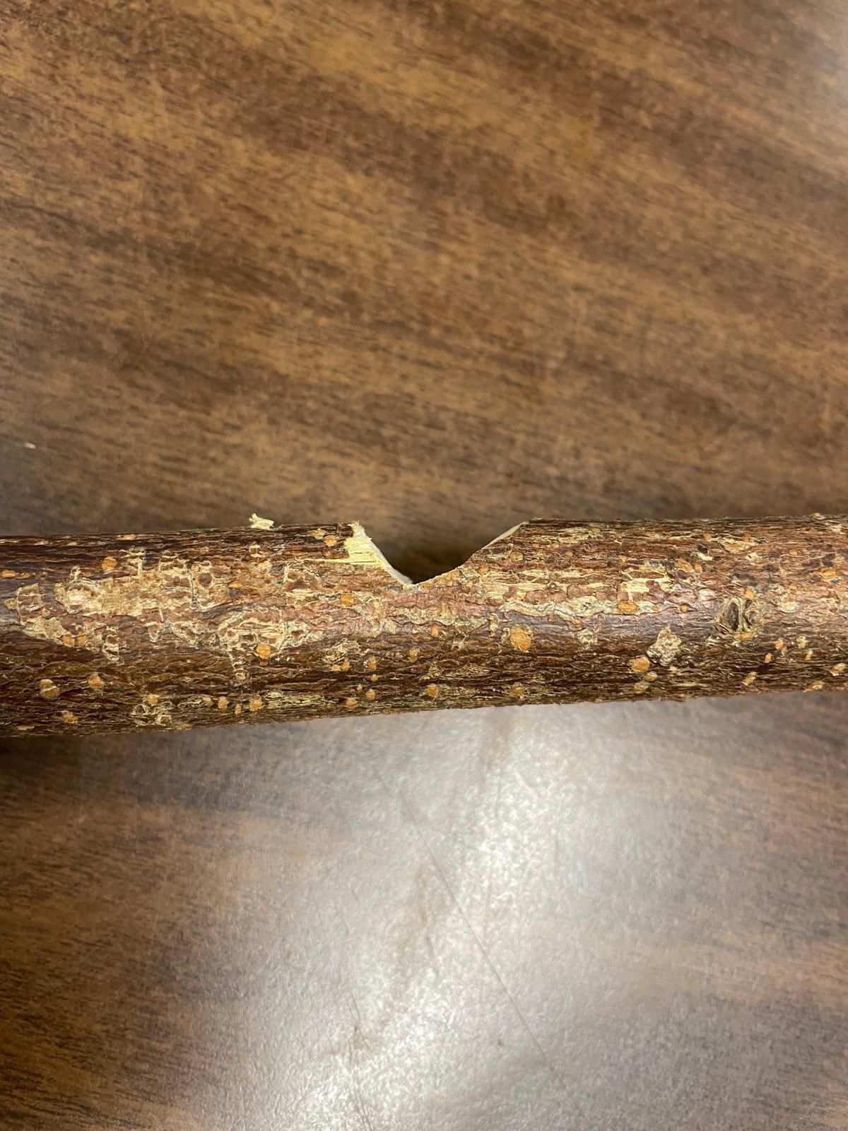 Campfire Billy Holder : 5 Steps - Instructables