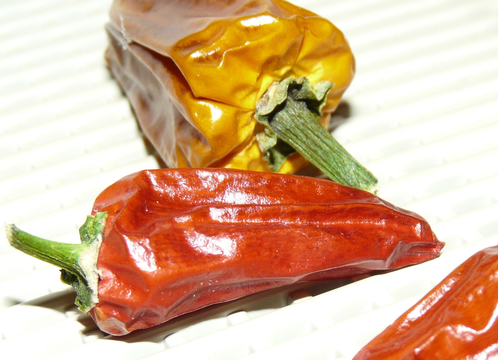 Chilli Drying - Chillis Dried Using Wasted Heat From a Monitor : 5 ...