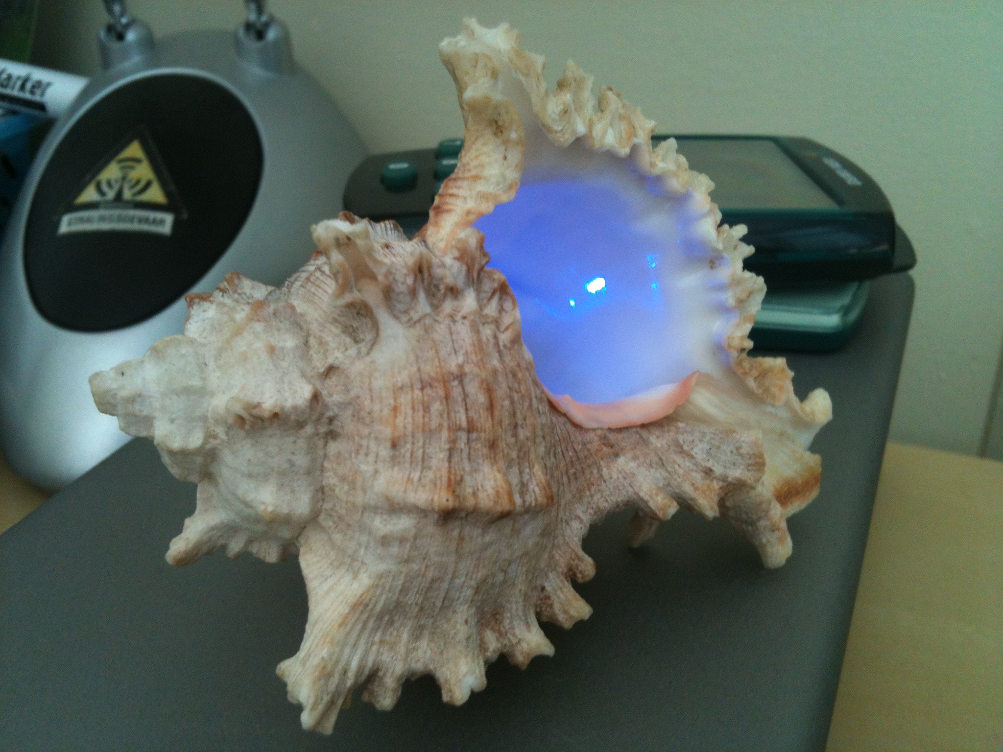Build Your Own Auditory Augmented Seashell! : 3 Steps (with Pictures ...