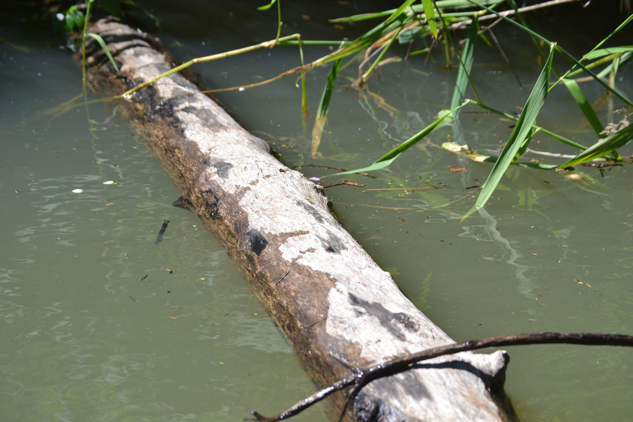 Survival Raft : 5 Steps - Instructables