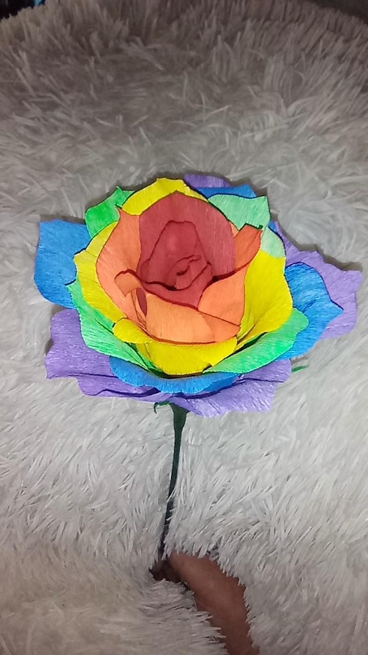 Rainbow Rose : 5 Steps (with Pictures) - Instructables