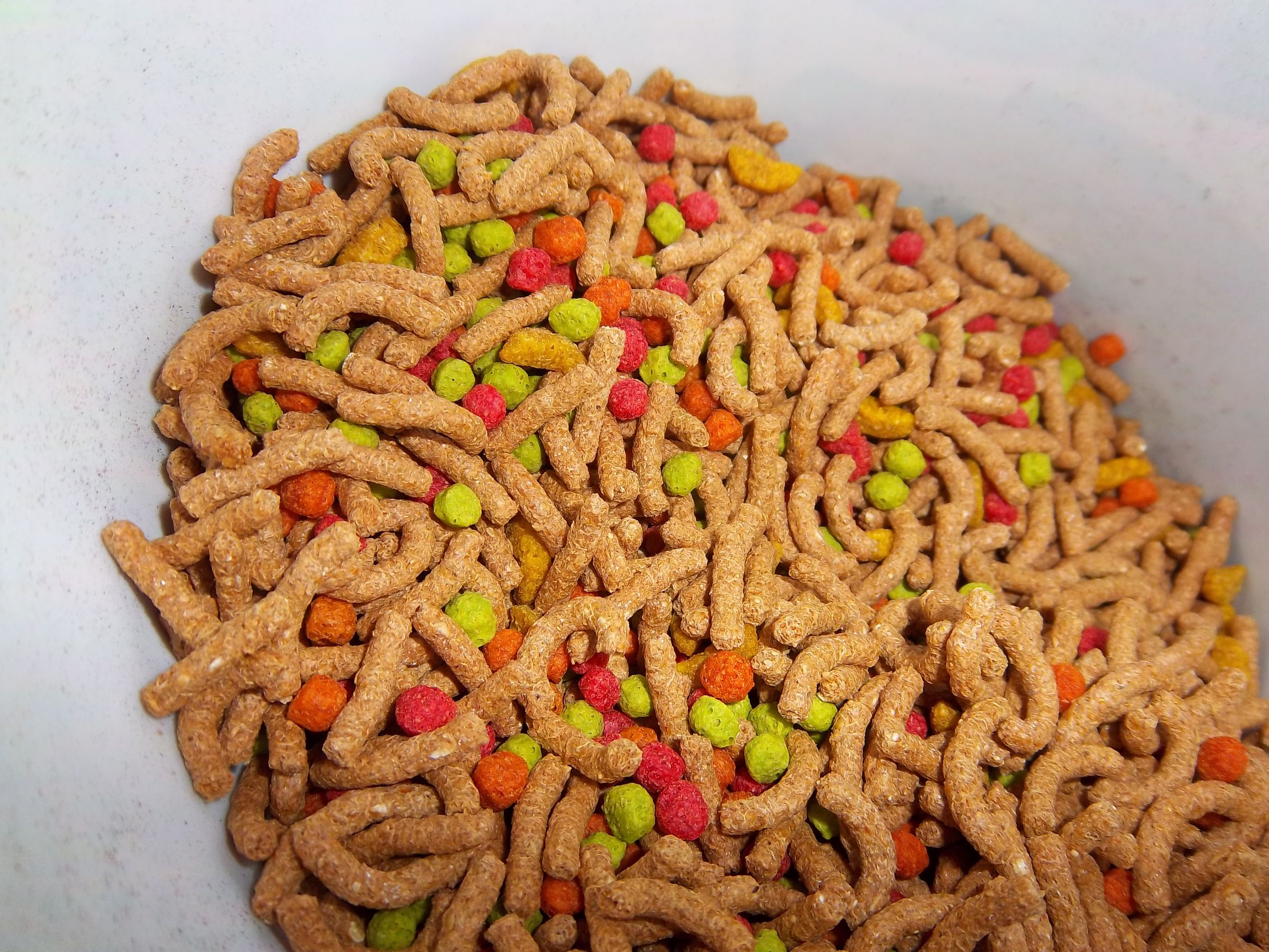 Set Up Your Own Feeder Roach Colony : 6 Steps - Instructables