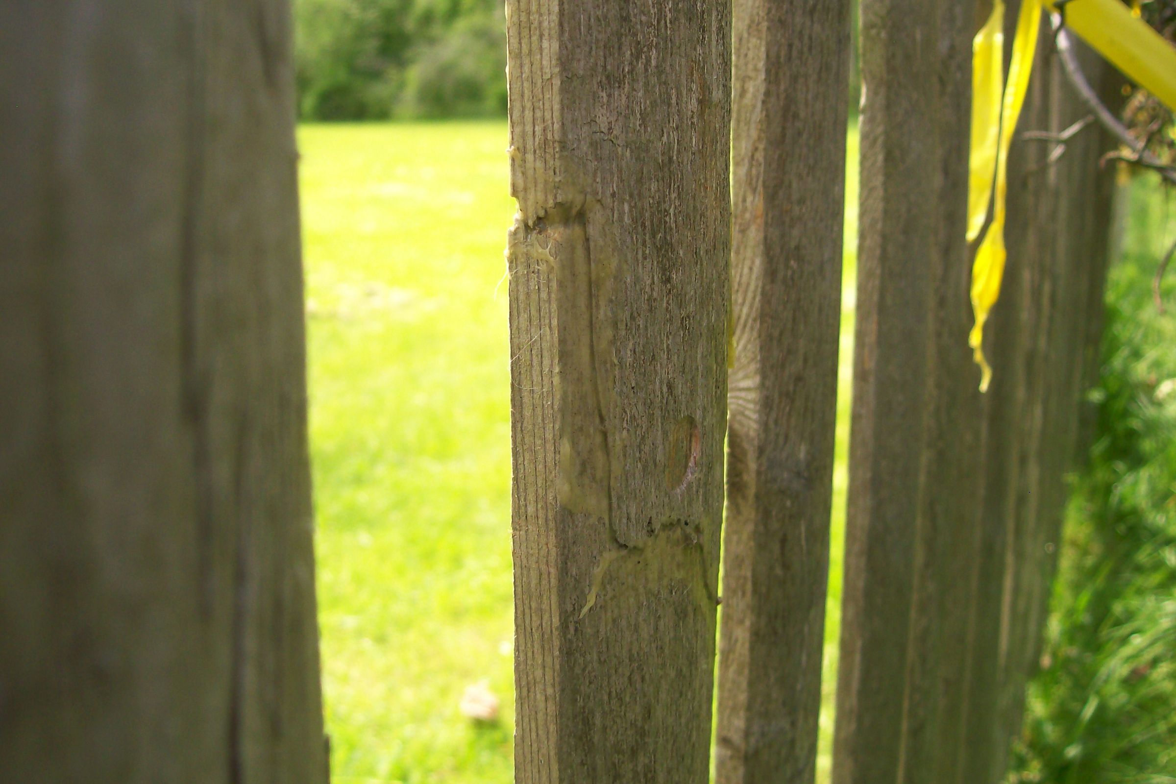 Picket Fence Repair : 5 Steps - Instructables