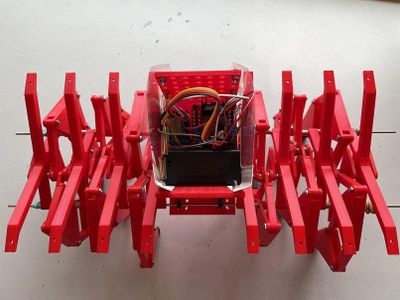 Remote Controlled Strandbeest : 14 Steps (with Pictures) - Instructables