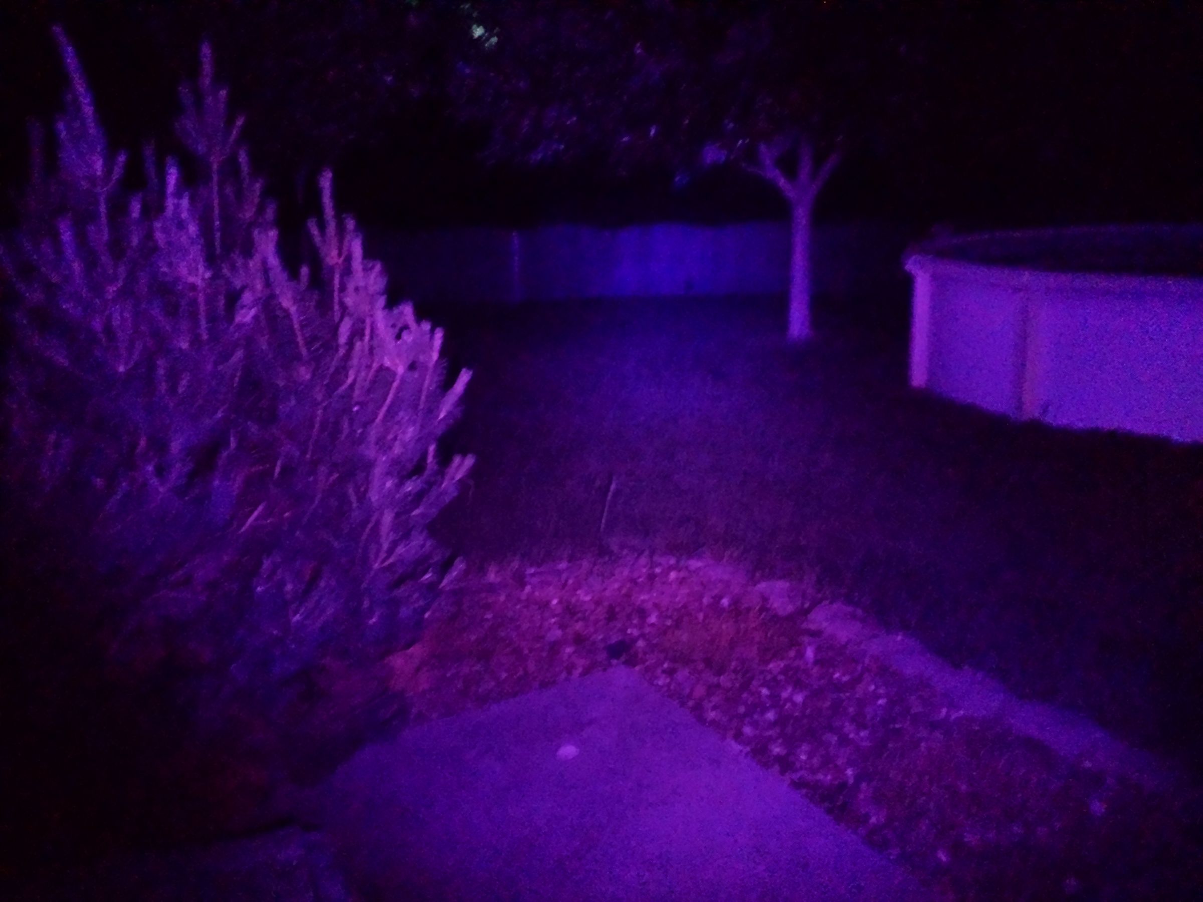 Cree Flashlight Color Change : 5 Steps (with Pictures) - Instructables