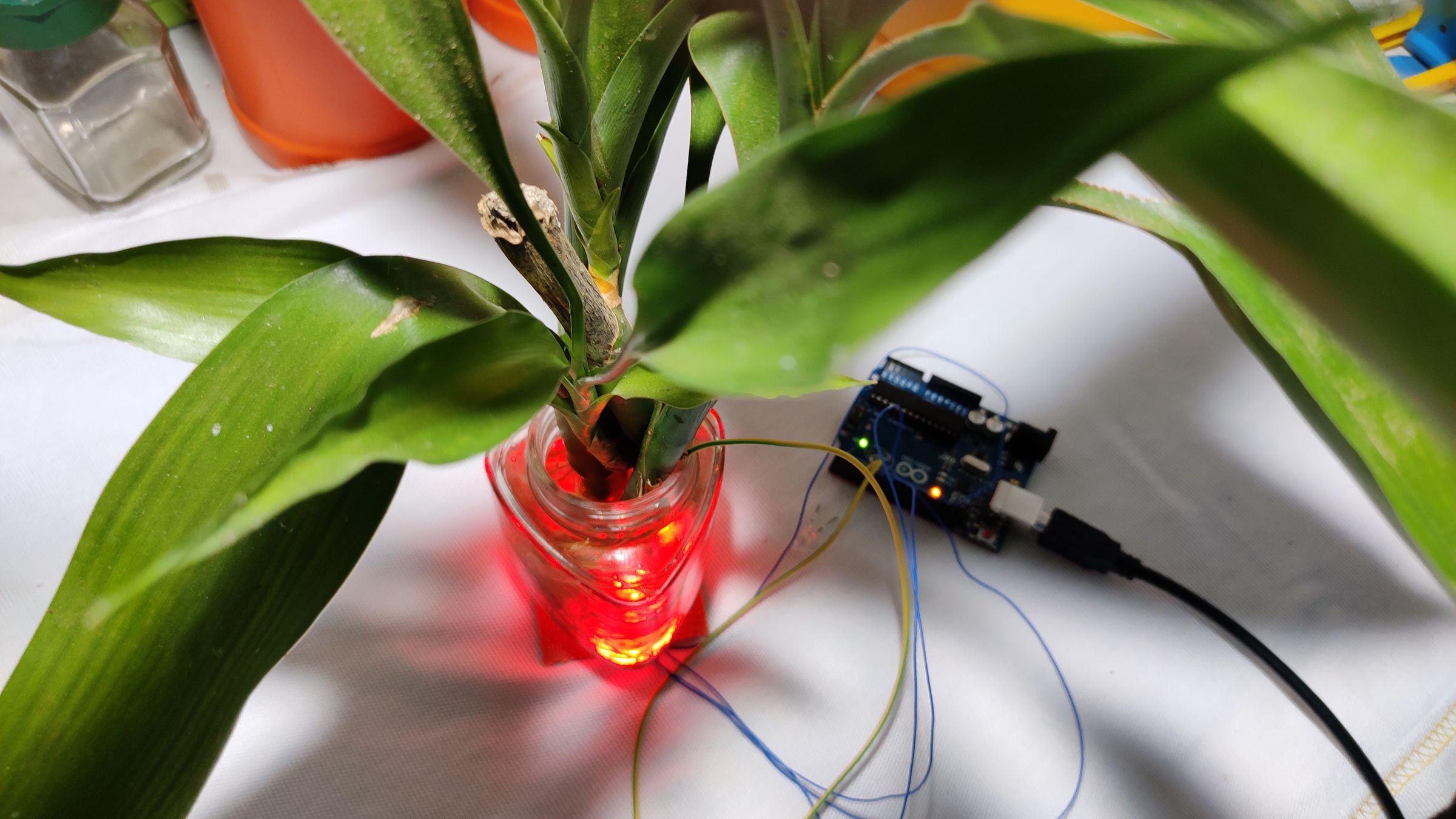 TOUCH SENSITIVE ARDUINO PLANT : 6 Steps - Instructables