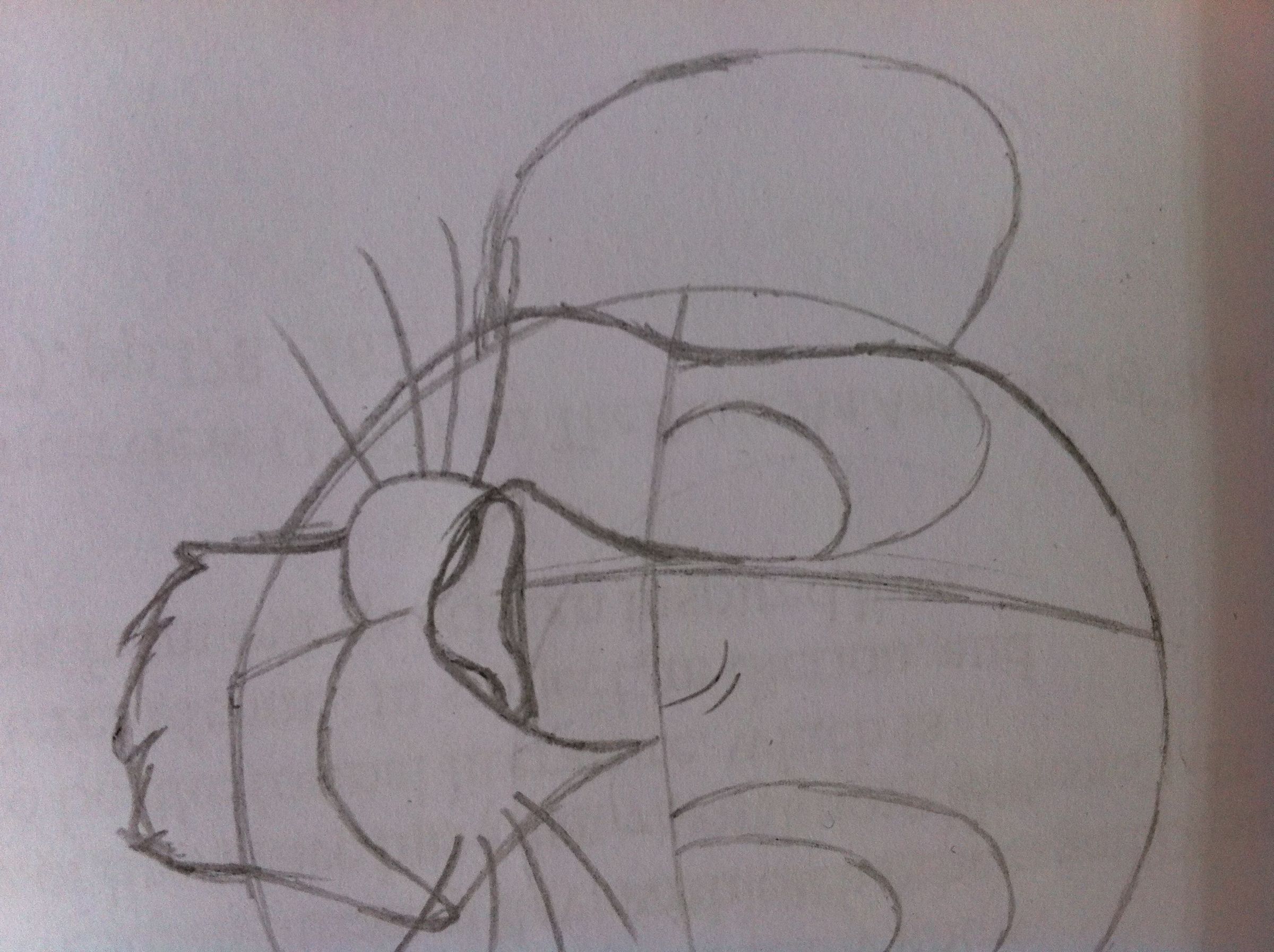How to Draw Simba : 19 Steps - Instructables