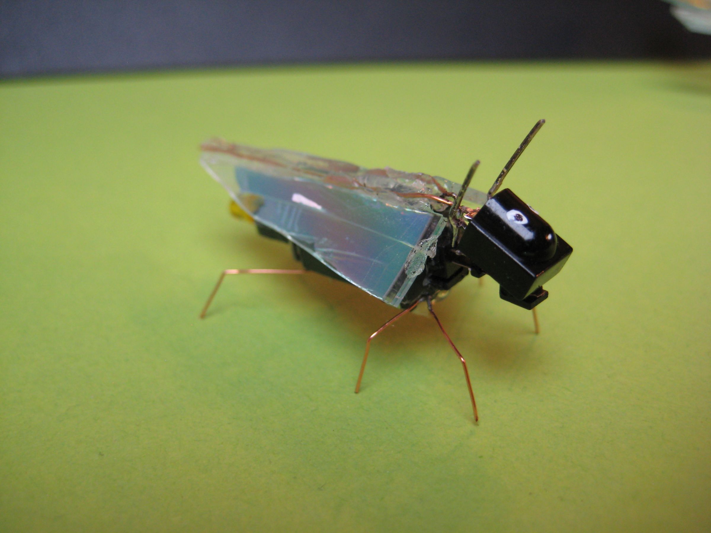 Computer Bugs - Additional Ideas, Tips & Tricks : 21 Steps (with Pictures) - Instructables