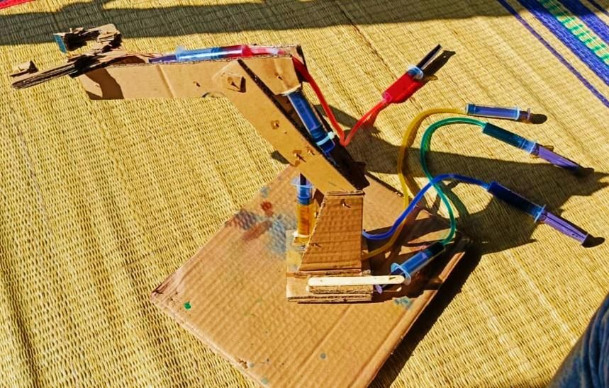 Hydraulic Syringe Arm Project