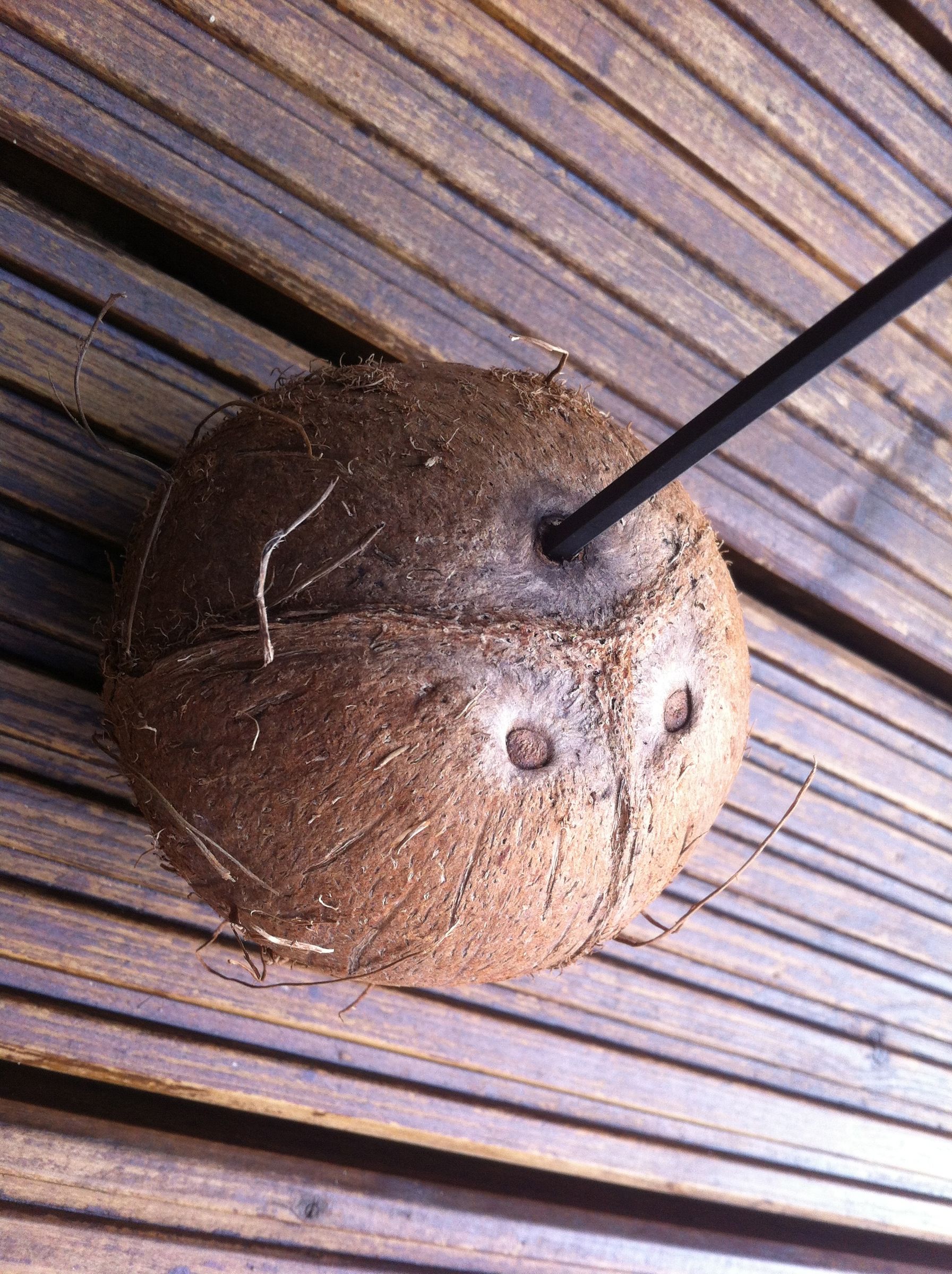 Open and Prepare Coconut : 4 Steps - Instructables