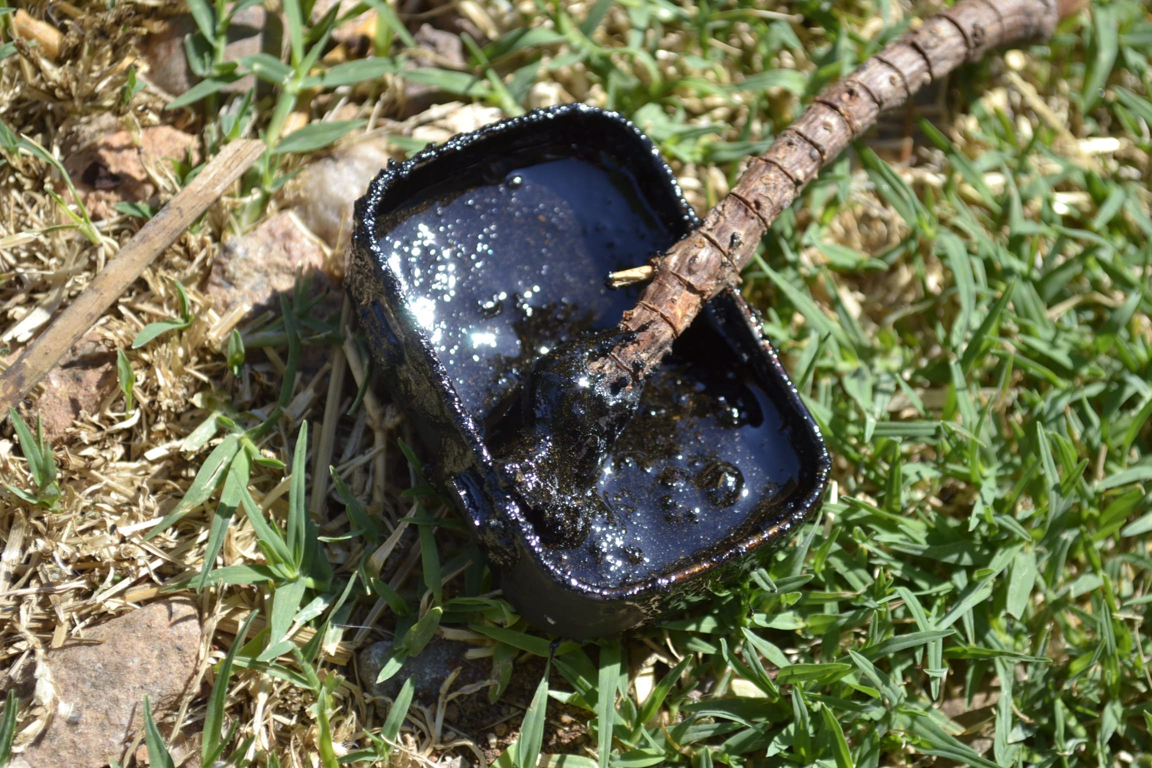 Survival Pine Tar: Pitchsticks, Fire Starter, Super Glue!! : 7 Steps ...