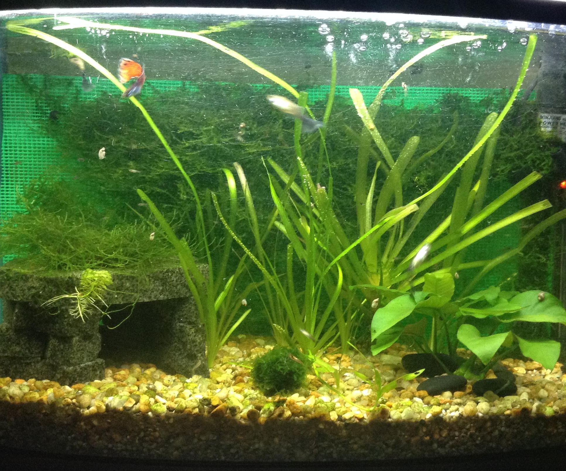 How to Build Aquarium. : 6 Steps (with Pictures) - Instructables