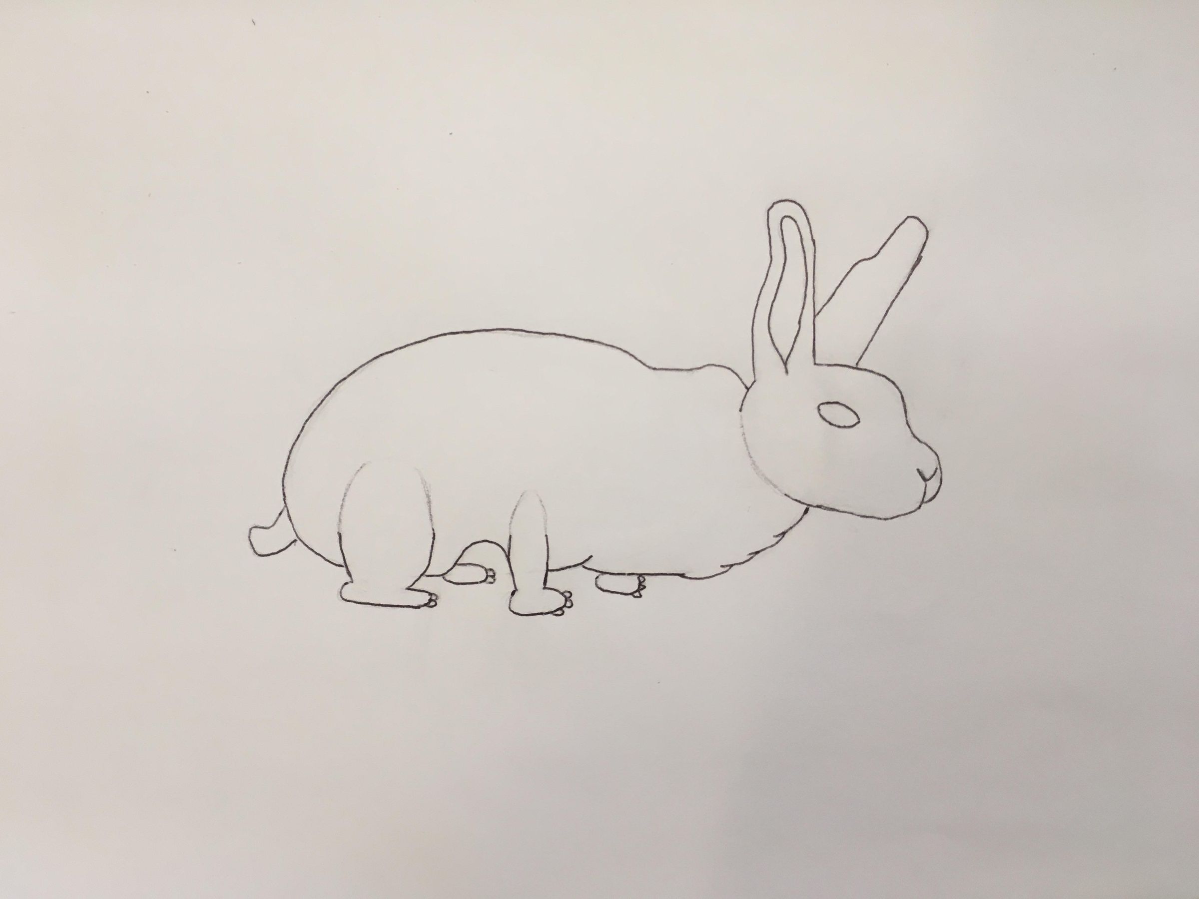 How to Draw a Realistic Bunny (standing) : 26 Steps - Instructables