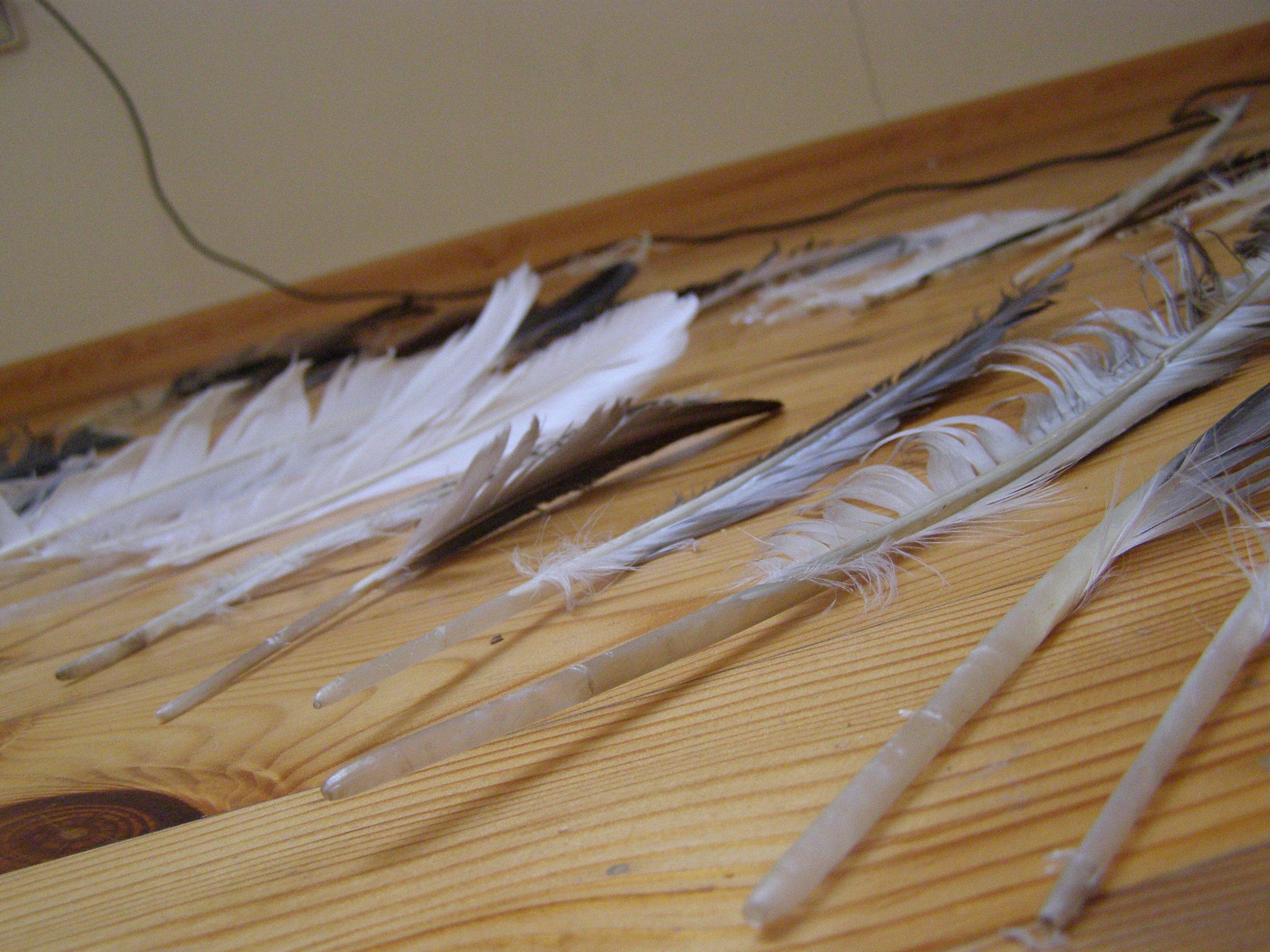 How to Make a Feather Quill (2 Ways) - Instructables