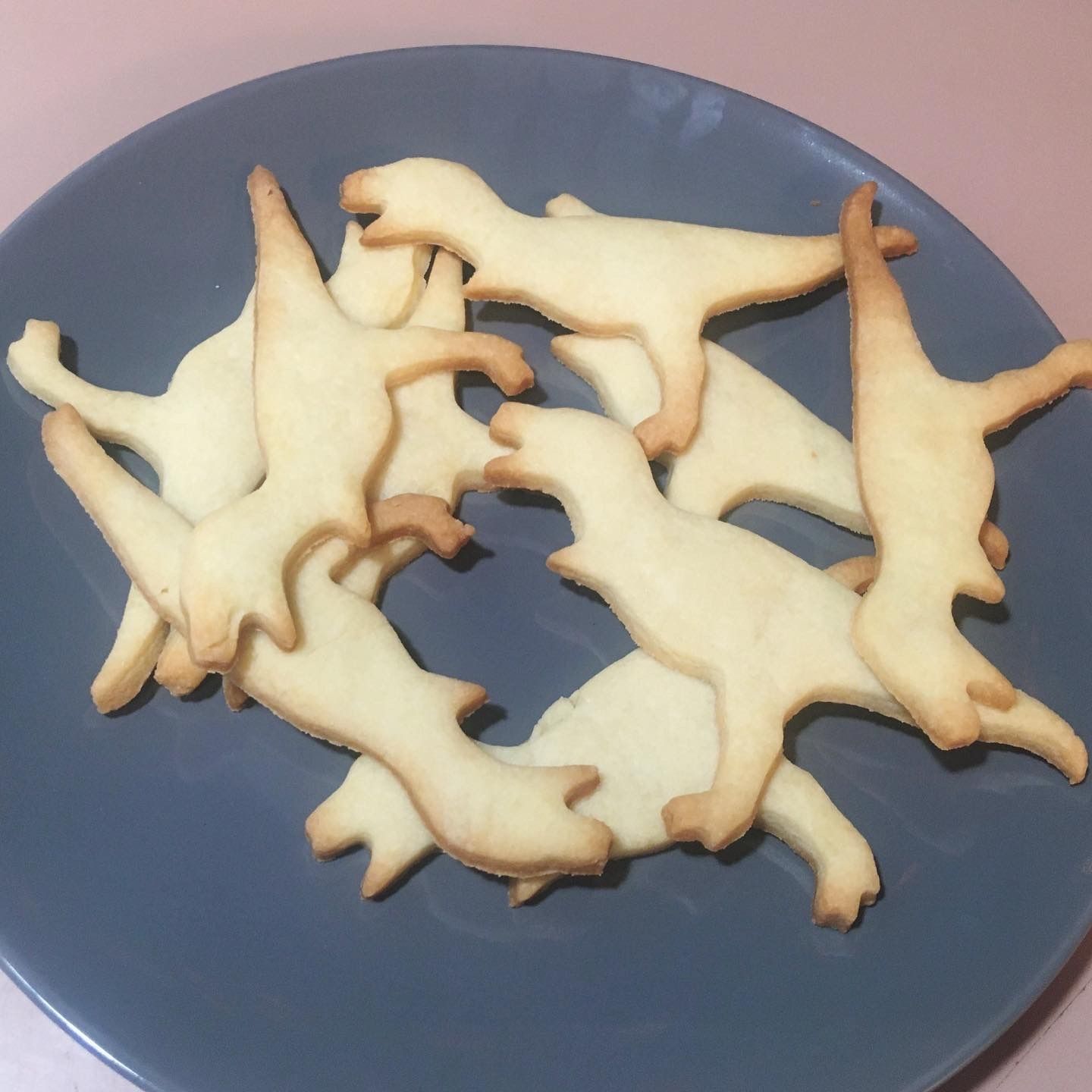 T-Rex Samoa Cookies : 7 Steps (with Pictures) - Instructables