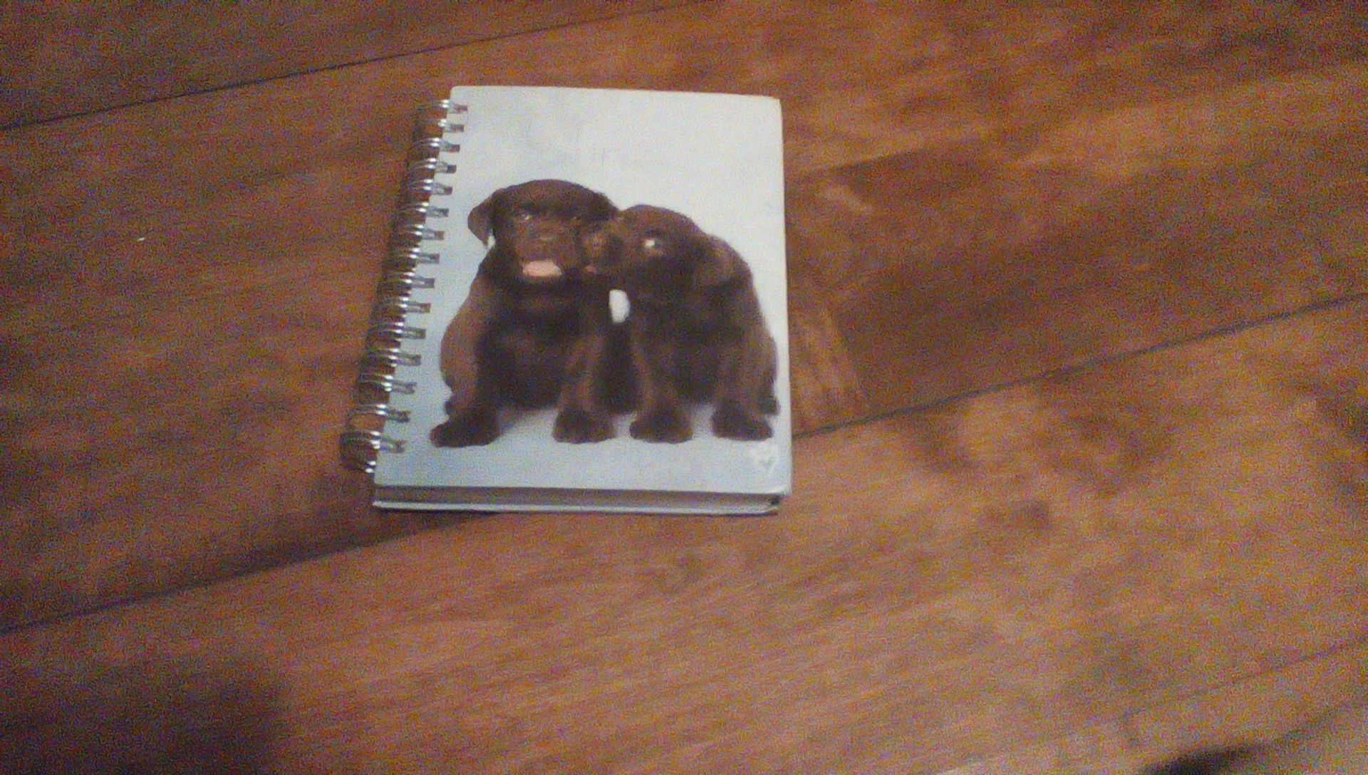 How to Make a Secret Book Hiding Place : 5 Steps - Instructables