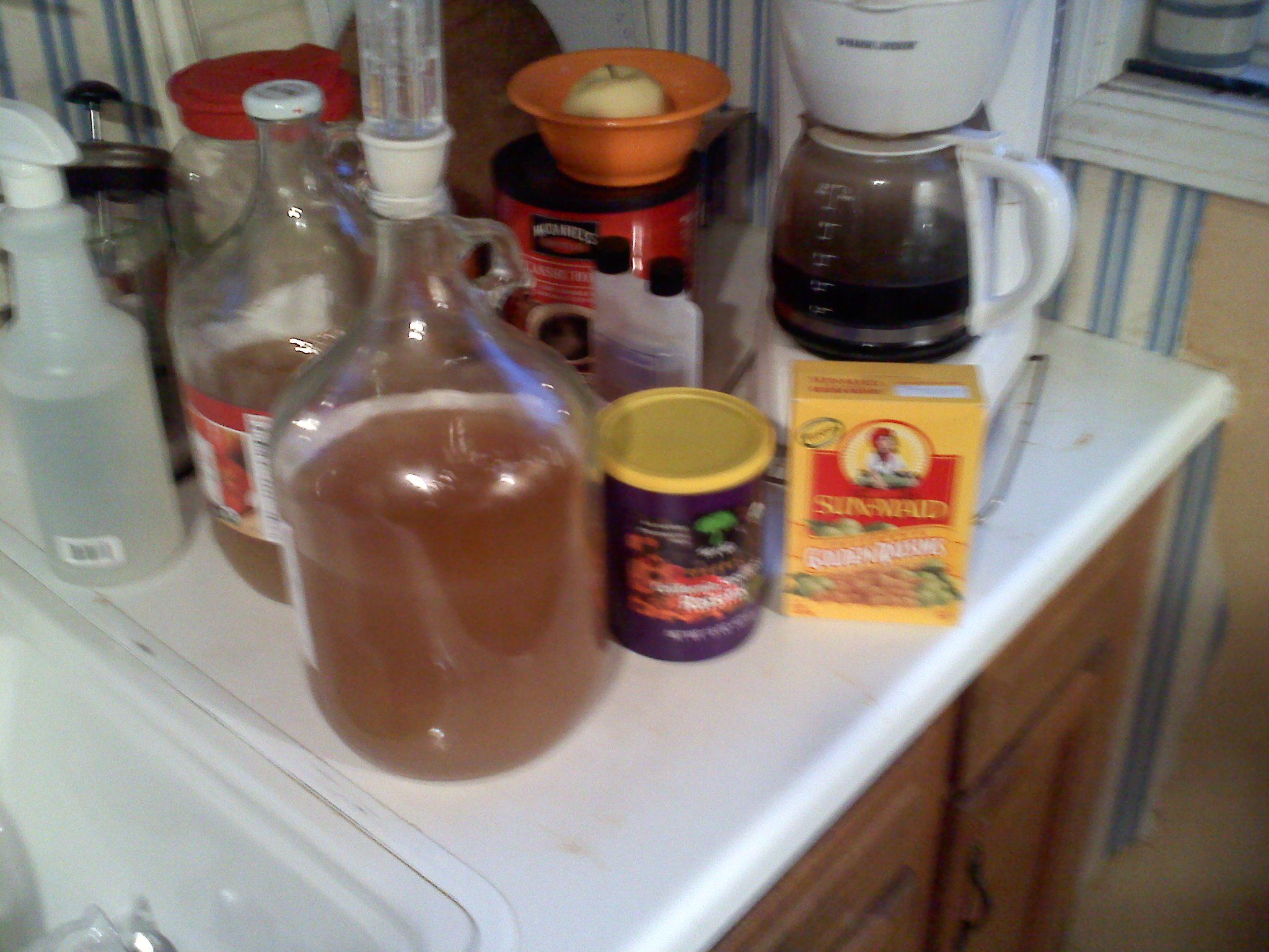 How to Cultivate Natural Cider Yeast : 11 Steps - Instructables