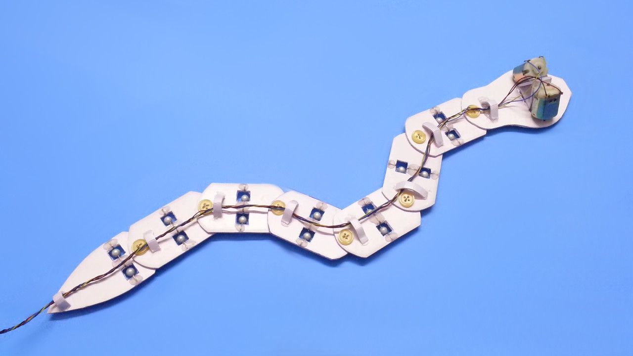 How to Make a Remote Control Snake : 8 Steps (with Pictures ...