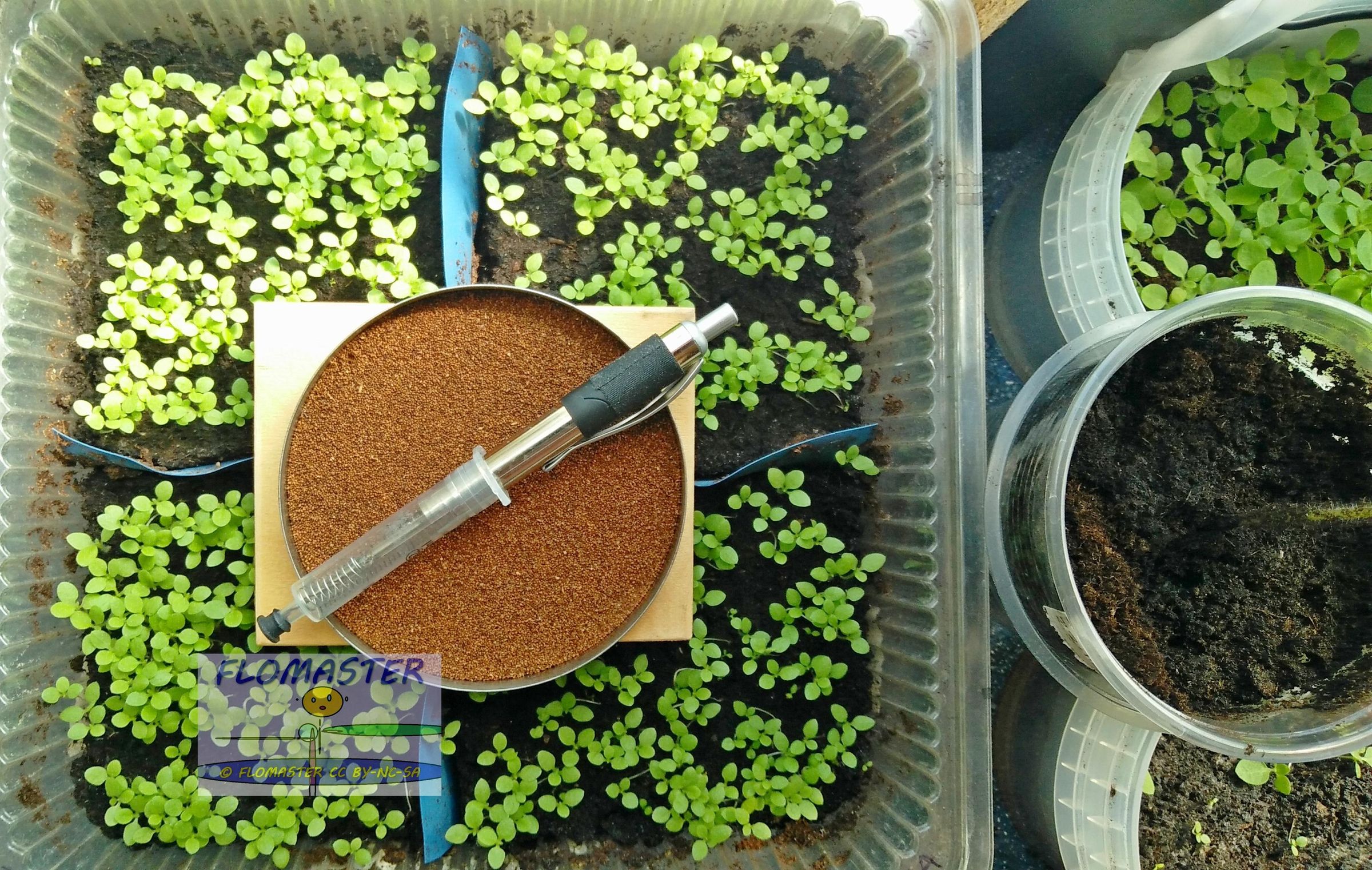 🌼 Dispenser for Sowing Tiny Seeds 🌼 : 15 Steps (with Pictures ...