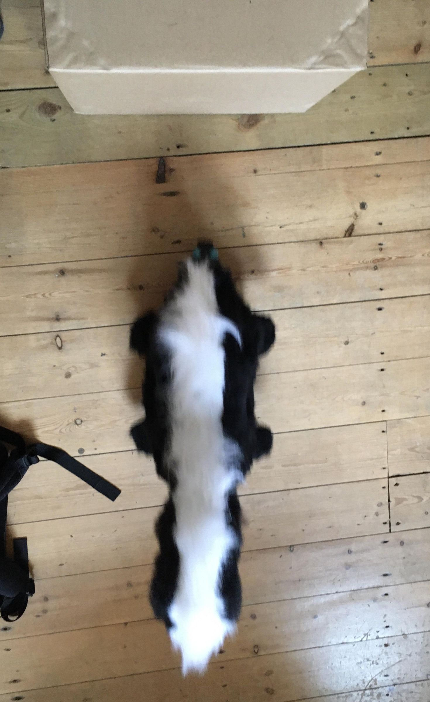 Bo Peep's Skunk Mobile - Remote Control Plushy : 77 Steps (with ...