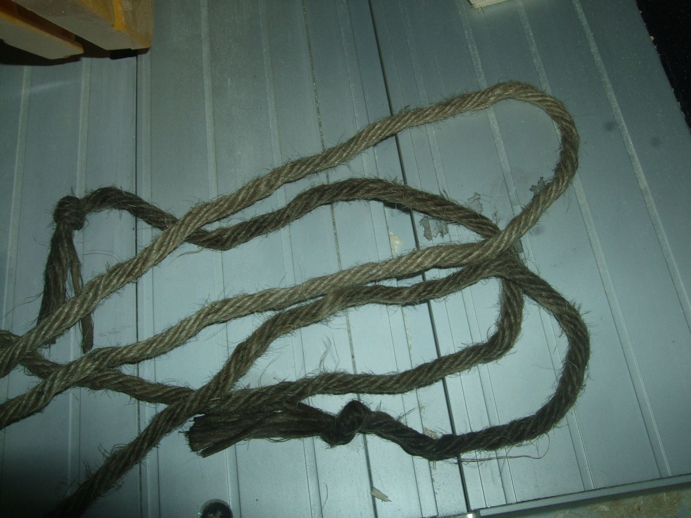 Death of Rats : 24 Steps - Instructables