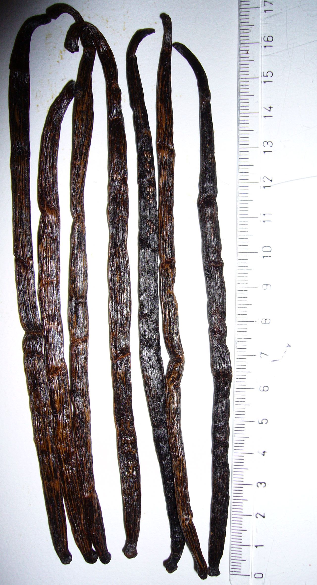 Make Vanilla Extract : 23 Steps (with Pictures) - Instructables