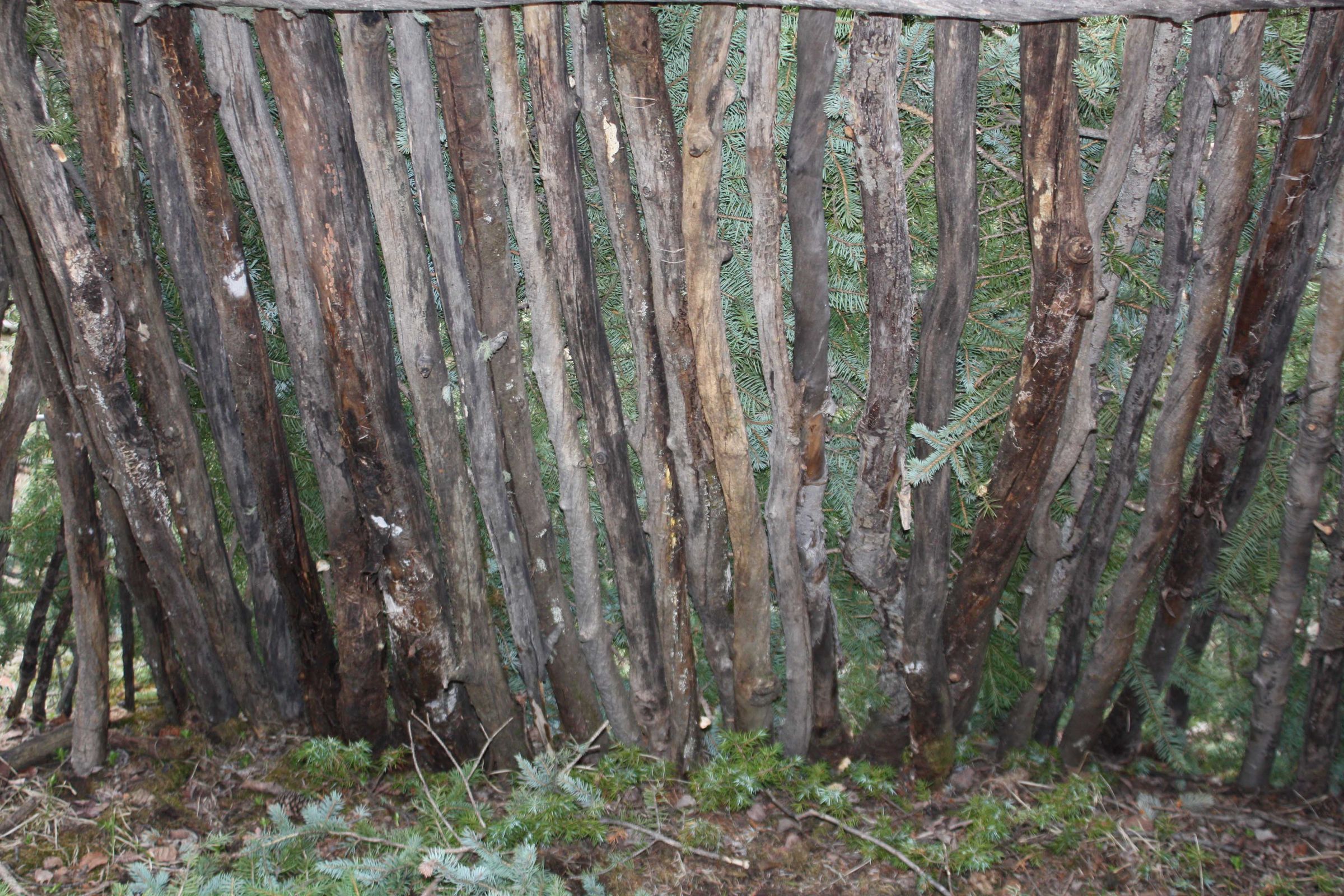 Lean-To Shelter : 5 Steps - Instructables